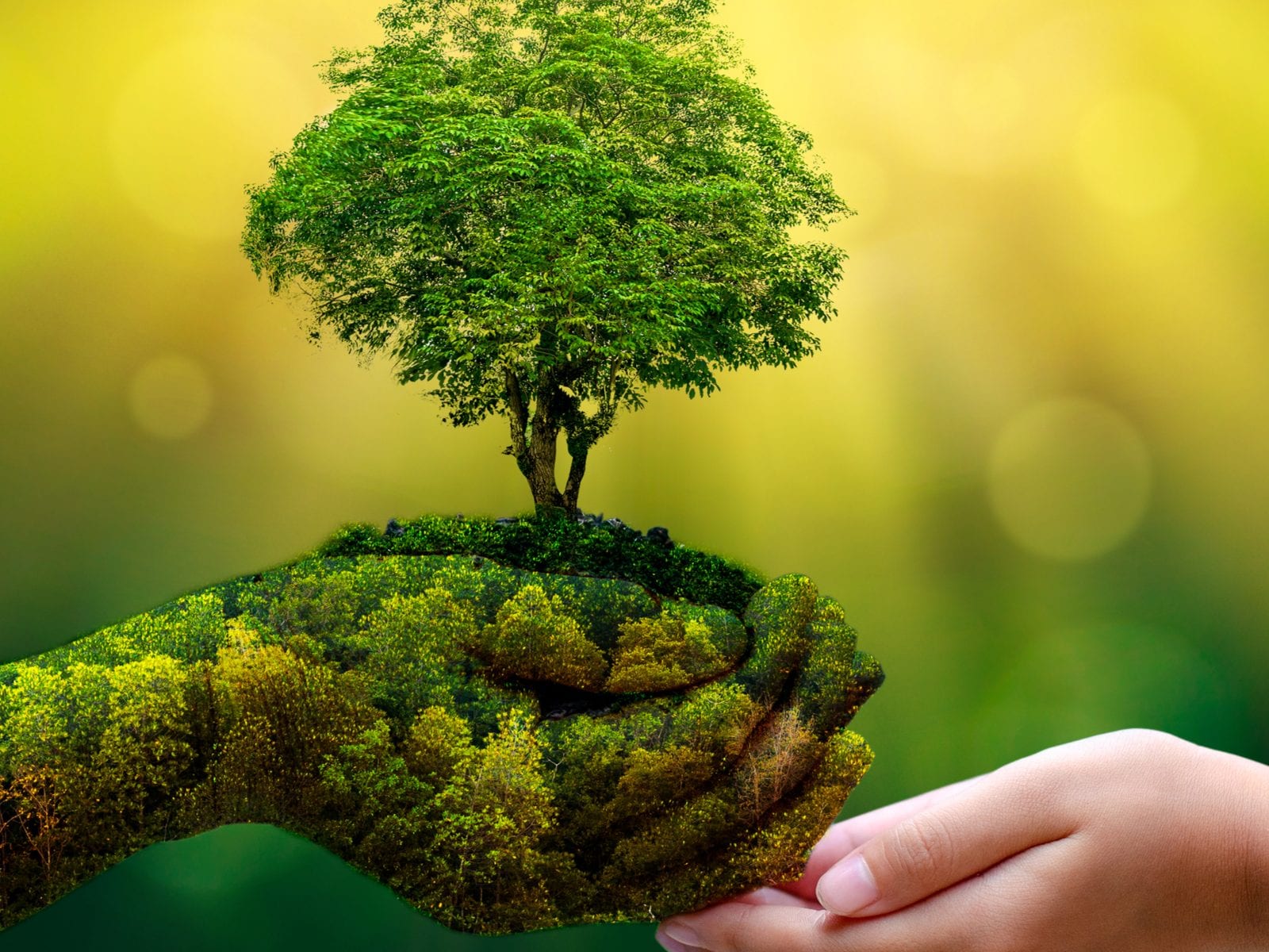 Natural Resources Wallpapers - Top Free Natural Resources Backgrounds ...