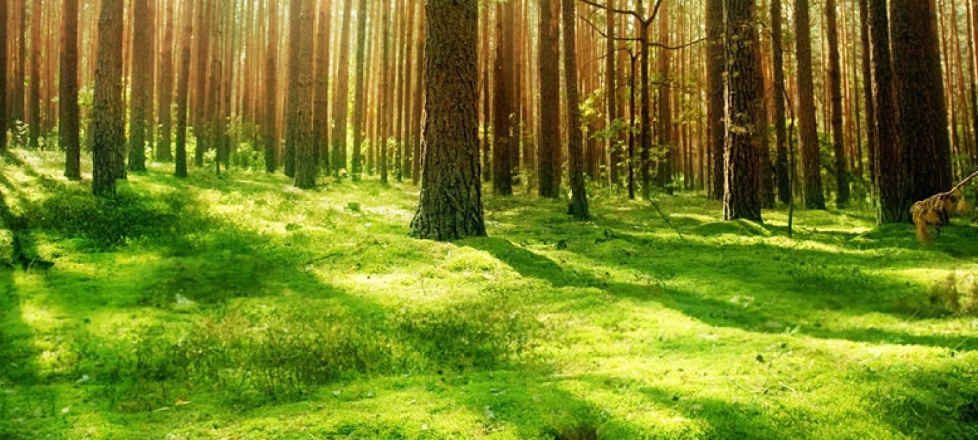 Natural Resources Wallpapers - Top Free Natural Resources Backgrounds ...