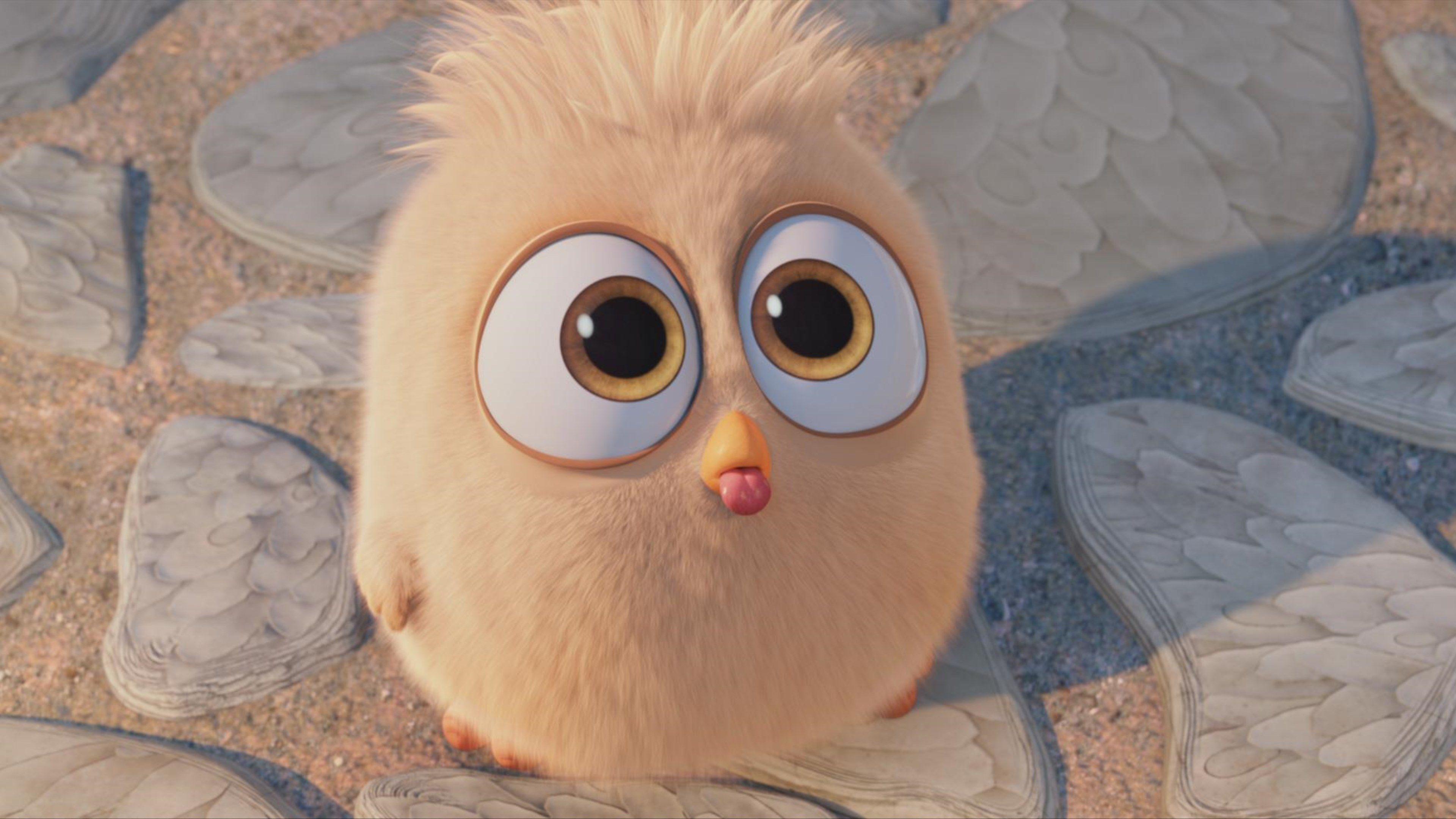 Angry Birds Wallpapers - Top Free Angry Birds Backgrounds - WallpaperAccess