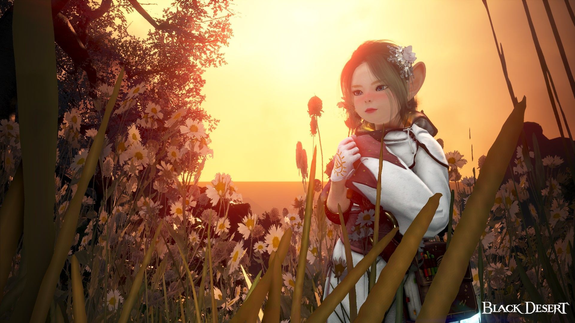 LOTM Wallpapers - Top Free LOTM Backgrounds - WallpaperAccess