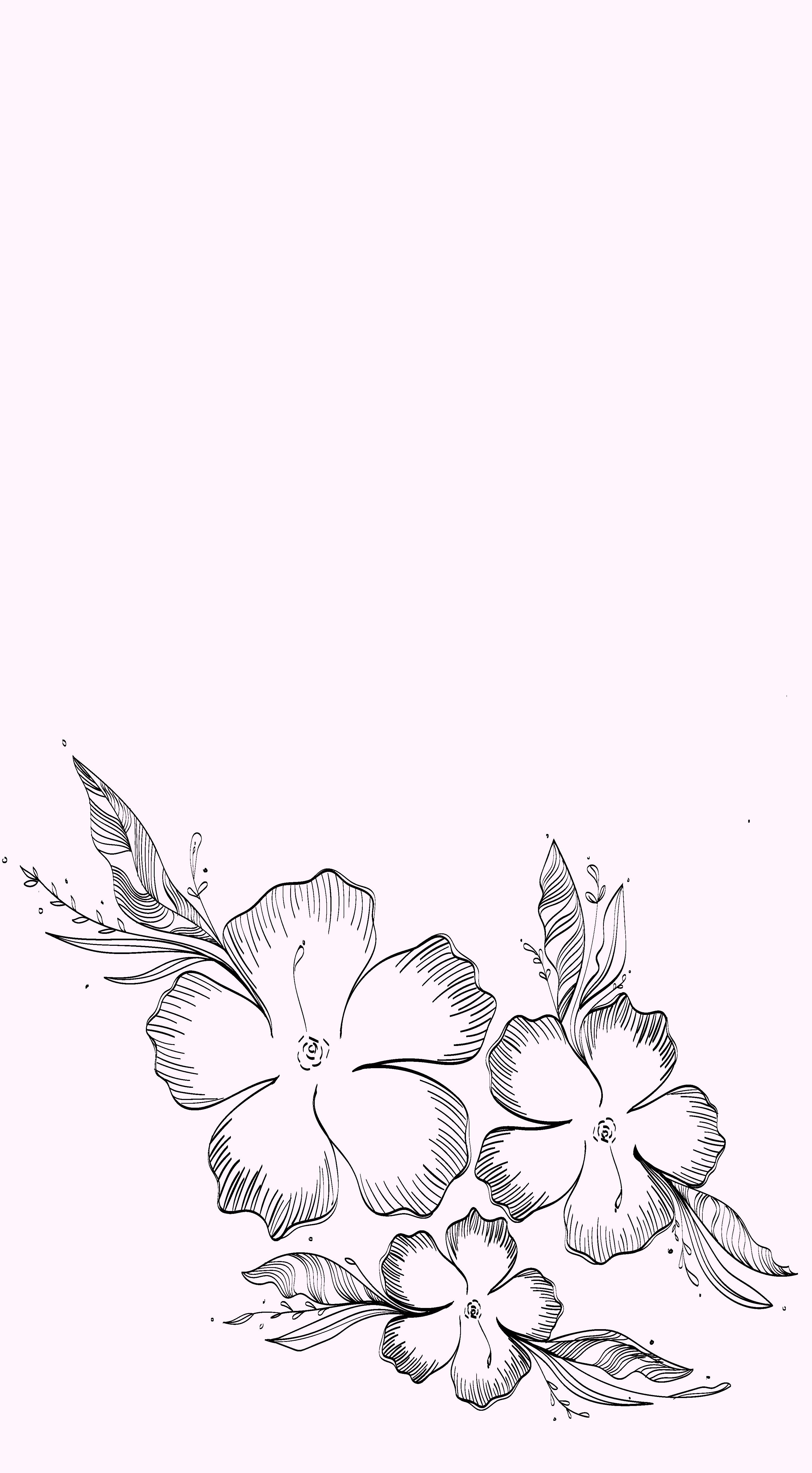 Flower Sketch Wallpapers - Top Free Flower Sketch Backgrounds ...