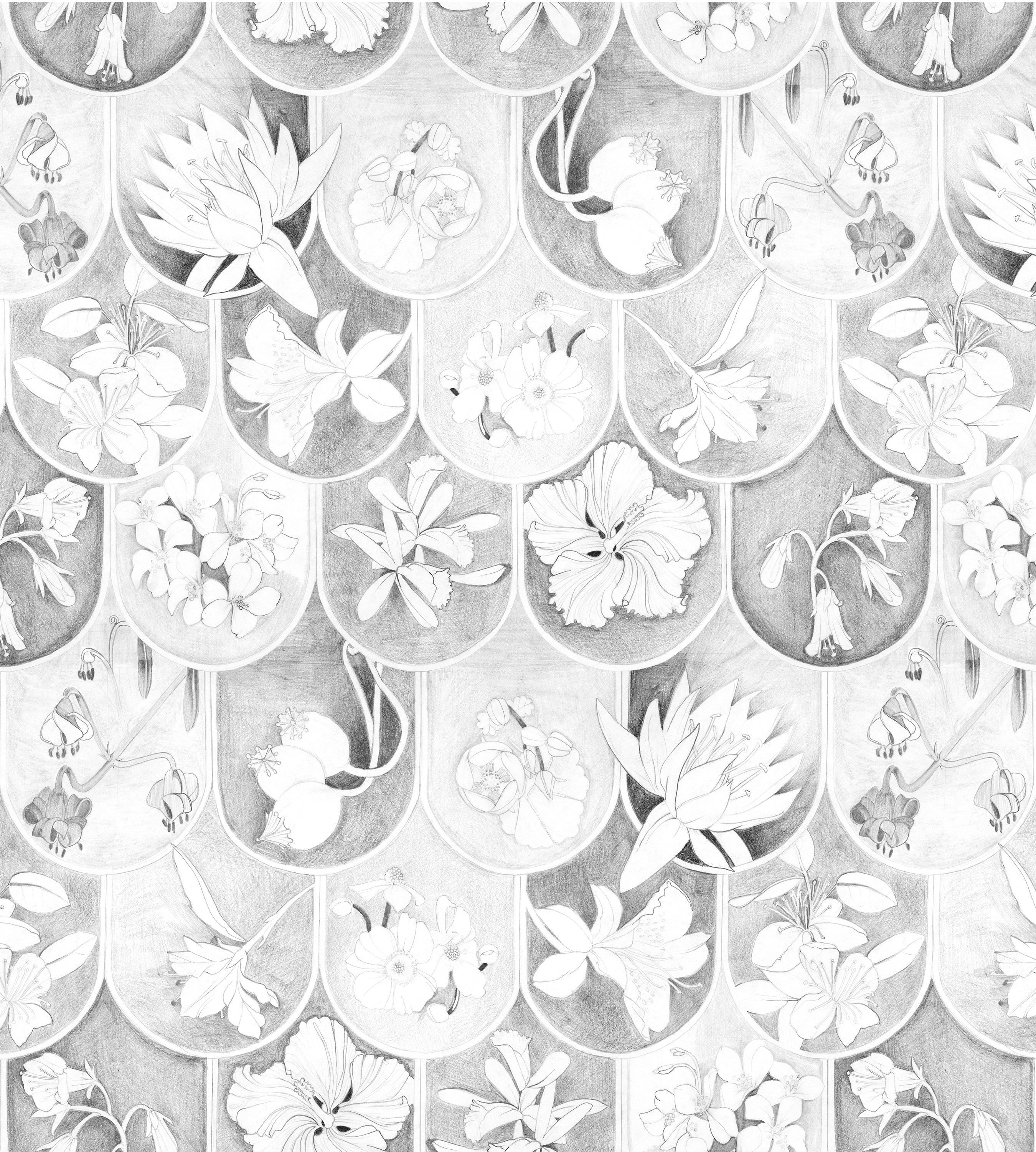 Flower Sketch Wallpapers - Top Free Flower Sketch Backgrounds ...