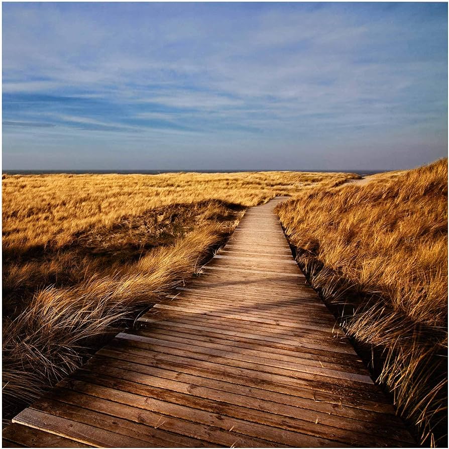 Sylt Wallpapers - Top Free Sylt Backgrounds - WallpaperAccess