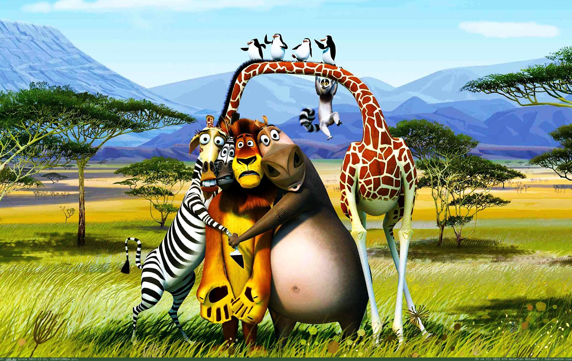 Madagascar 3 Wallpapers - Top Free Madagascar 3 Backgrounds ...
