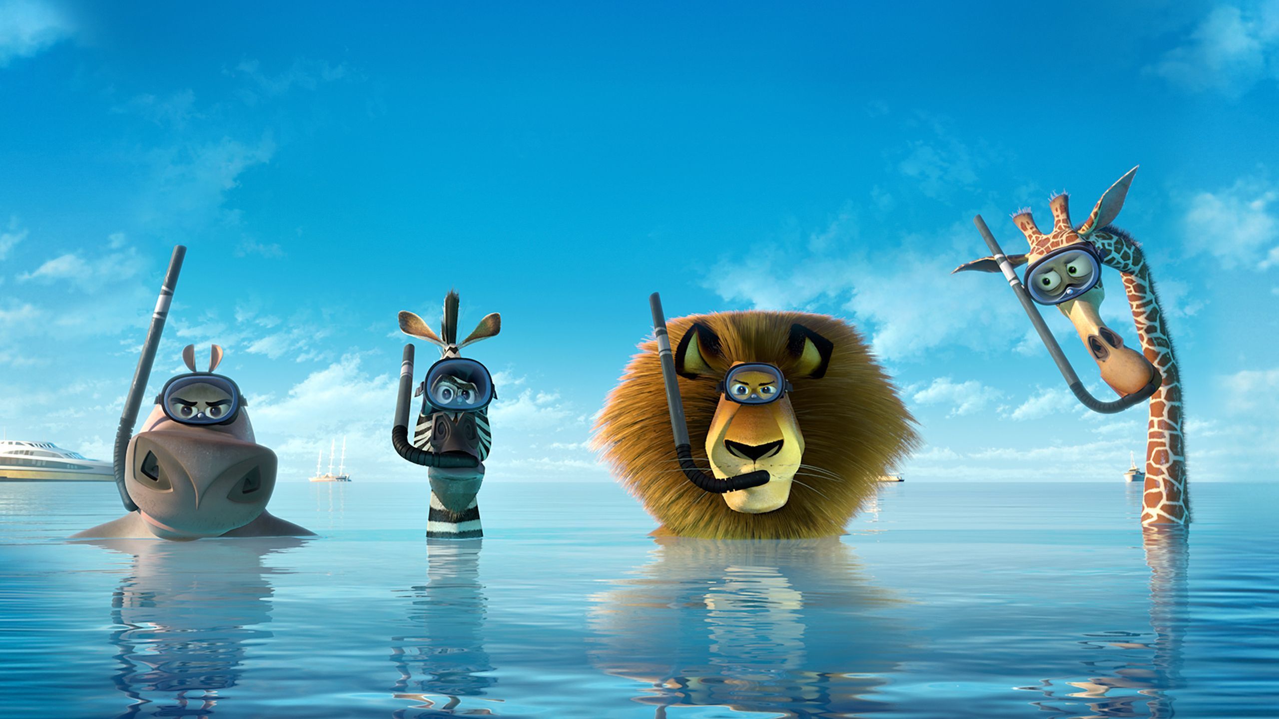 Madagascar 3 Wallpapers - Top Free Madagascar 3 Backgrounds ...