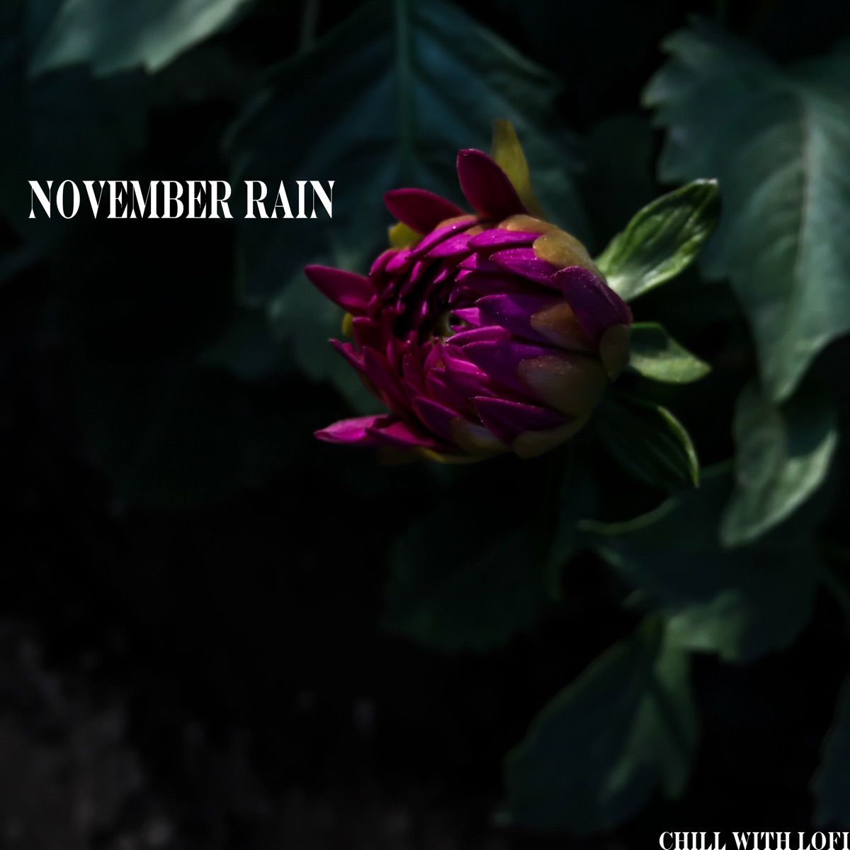 November Rain Wallpapers - Top Free November Rain Backgrounds ...