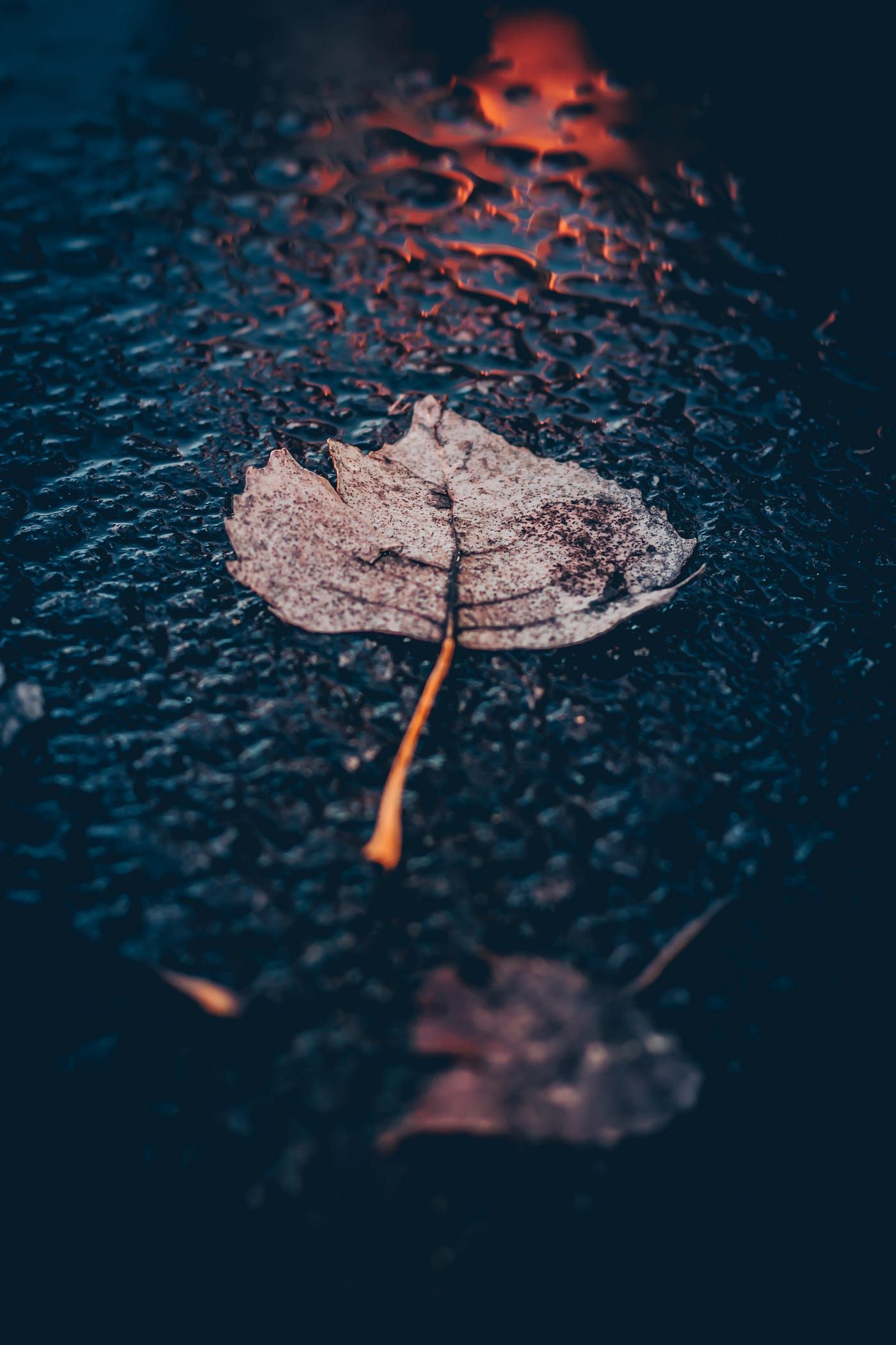 November Rain Wallpapers - Top Free November Rain Backgrounds ...