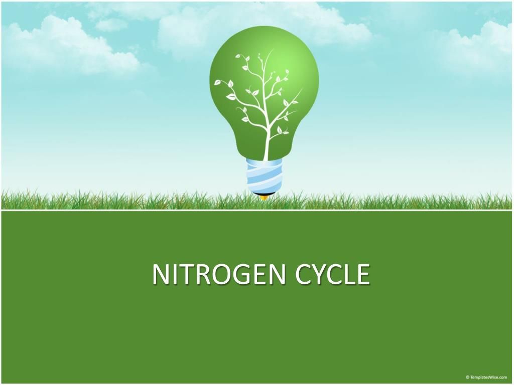 Nitrogen Wallpapers - Top Free Nitrogen Backgrounds - WallpaperAccess