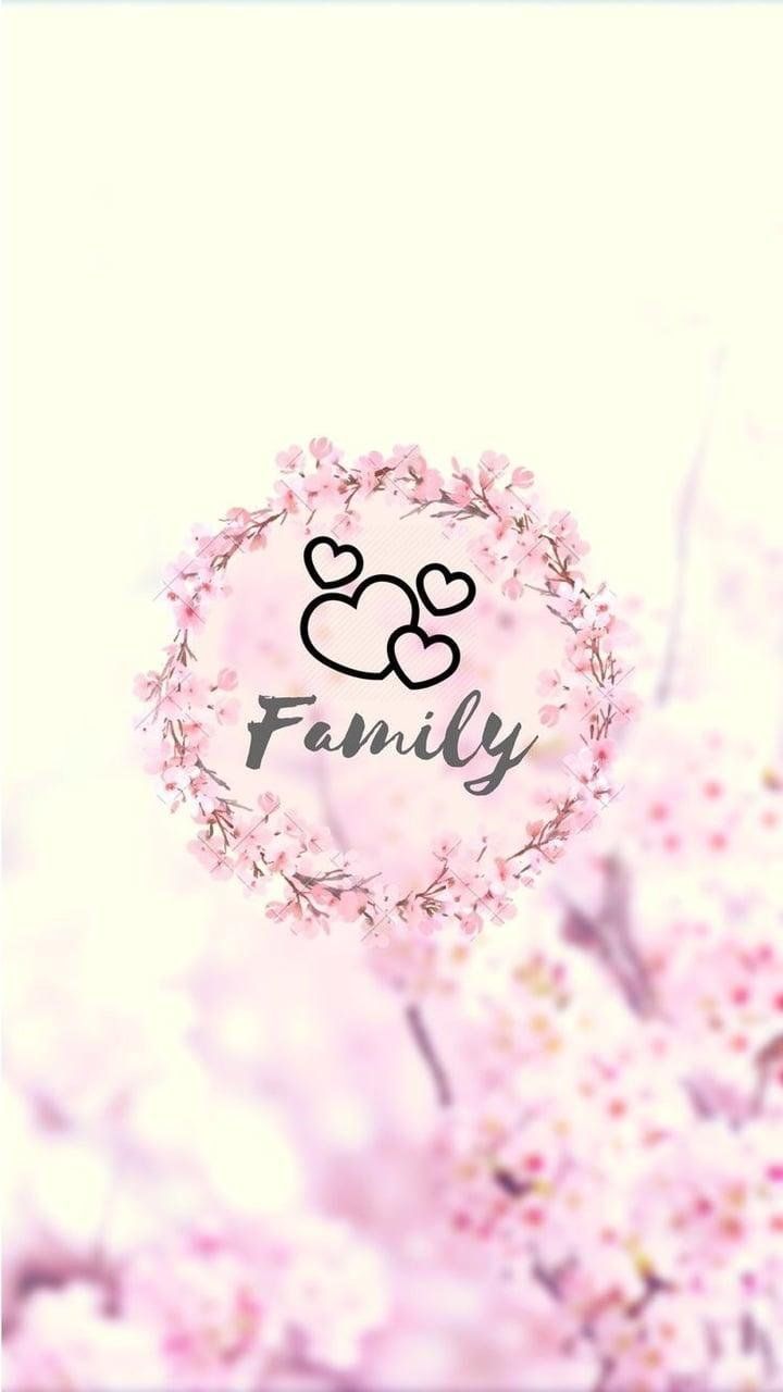 Highlight Cover Wallpapers - Top Free Highlight Cover Backgrounds ...