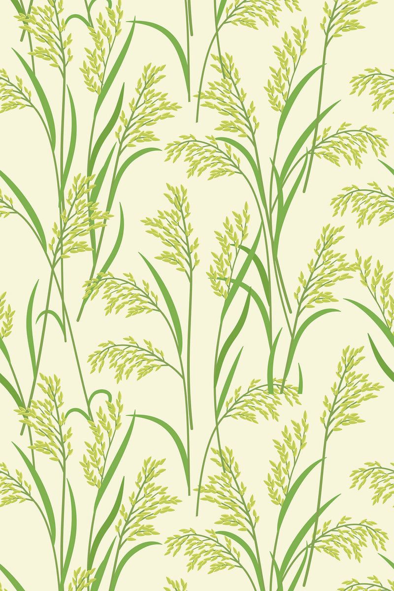 Rice Plant Wallpapers - Top Free Rice Plant Backgrounds - WallpaperAccess
