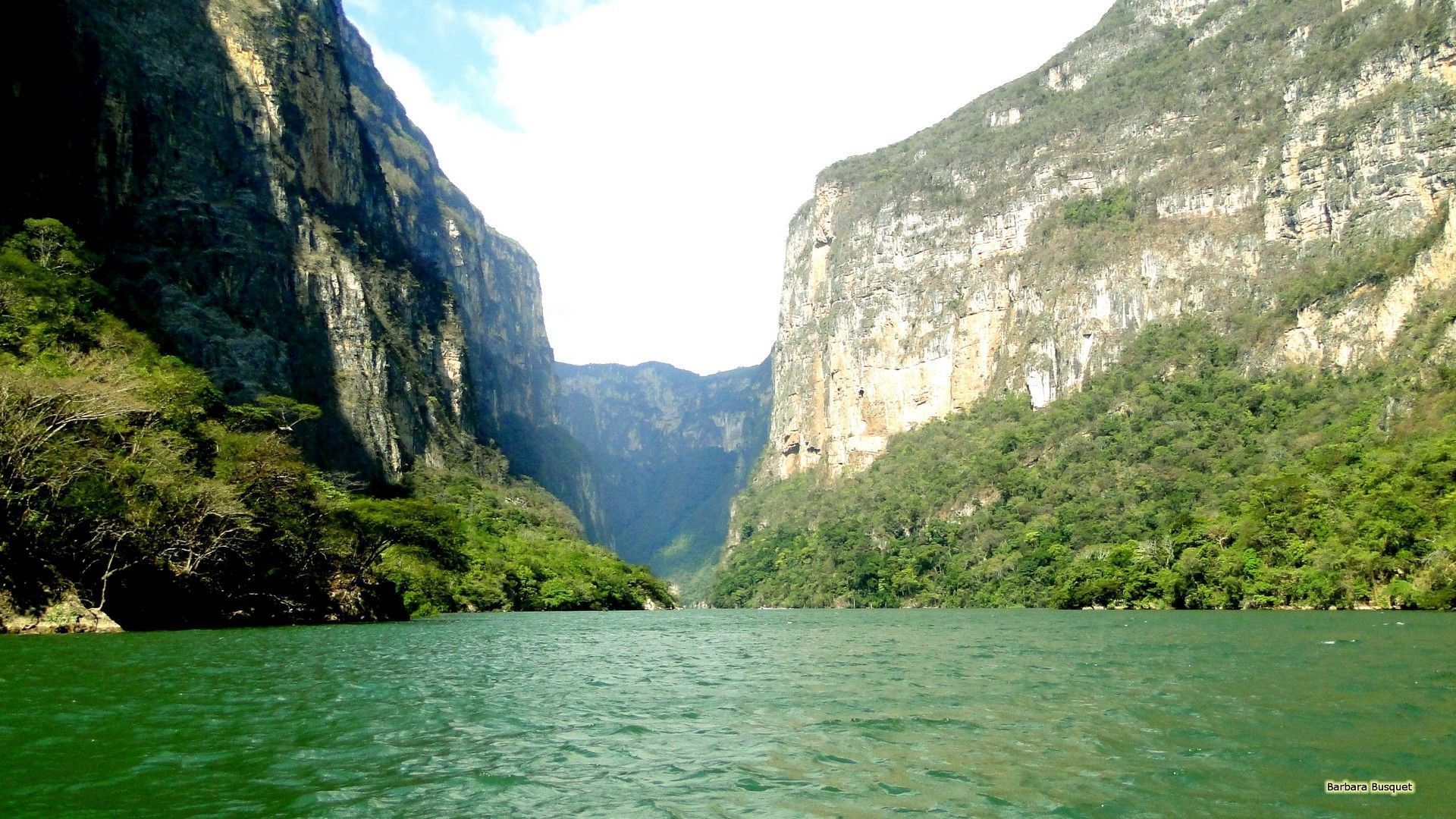 Chiapas Wallpapers - Top Free Chiapas Backgrounds - WallpaperAccess