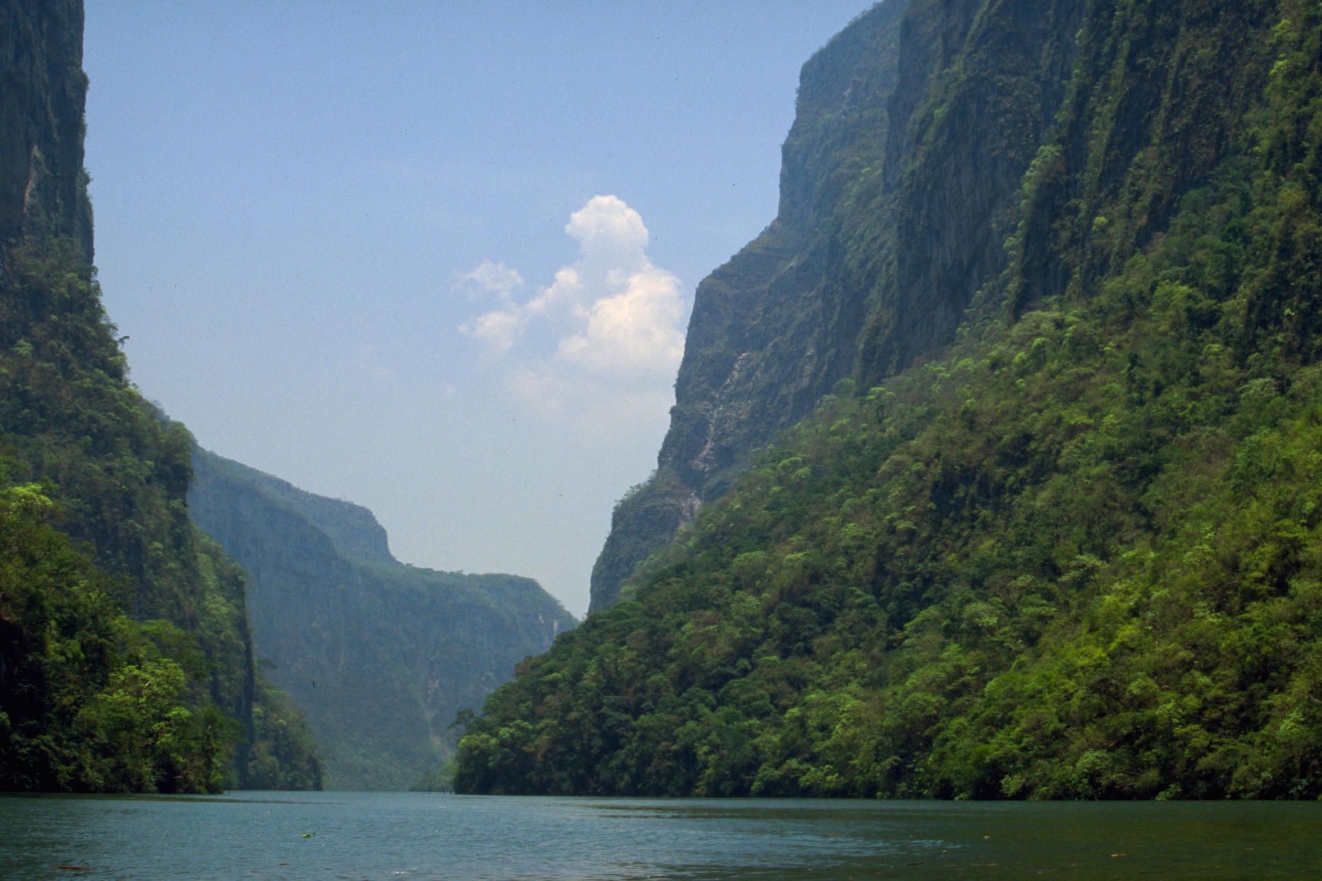 Chiapas Wallpapers - Top Free Chiapas Backgrounds - WallpaperAccess