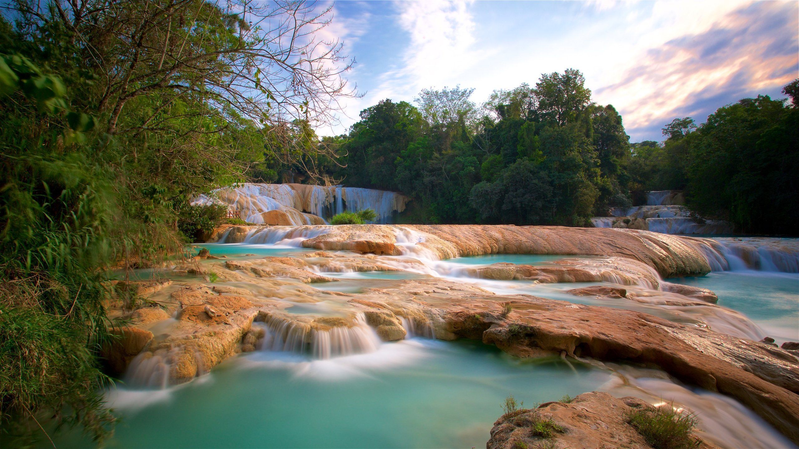 Chiapas Wallpapers - Top Free Chiapas Backgrounds - WallpaperAccess