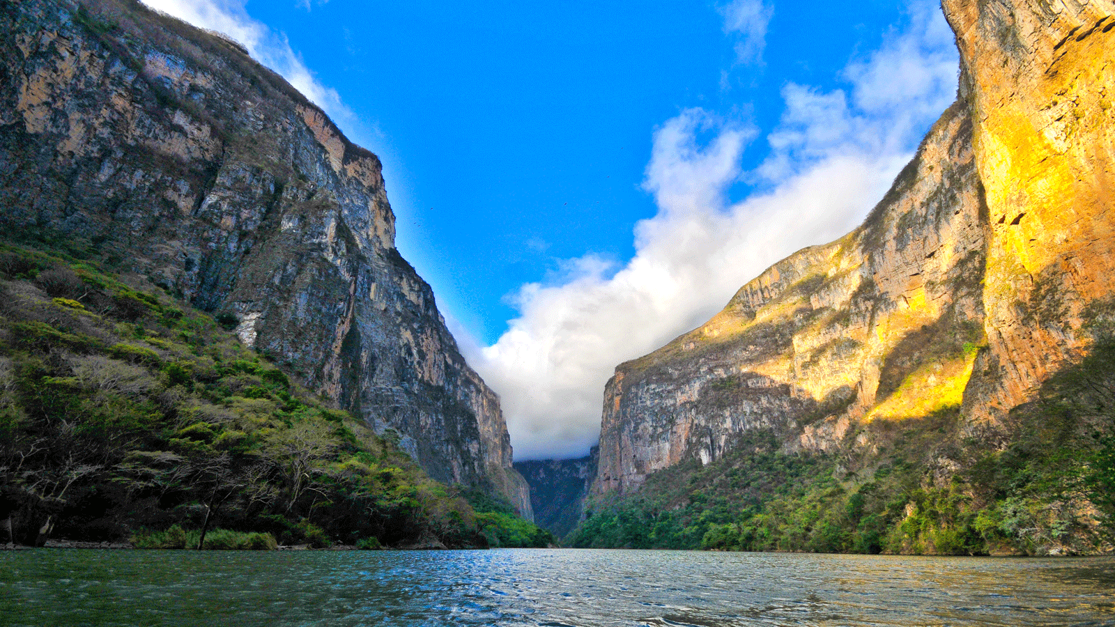 Chiapas Wallpapers - Top Free Chiapas Backgrounds - WallpaperAccess