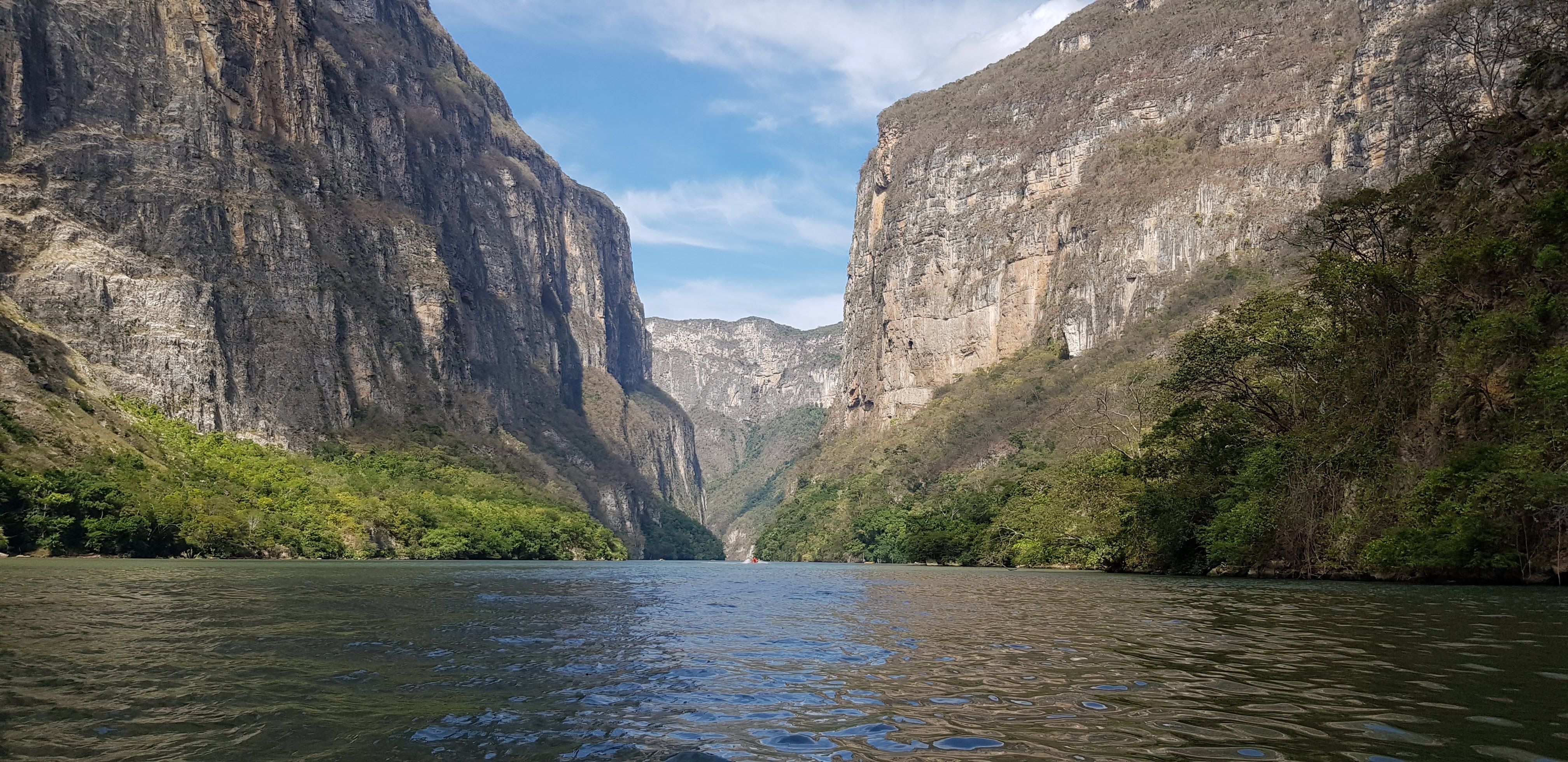 Chiapas Wallpapers - Top Free Chiapas Backgrounds - WallpaperAccess