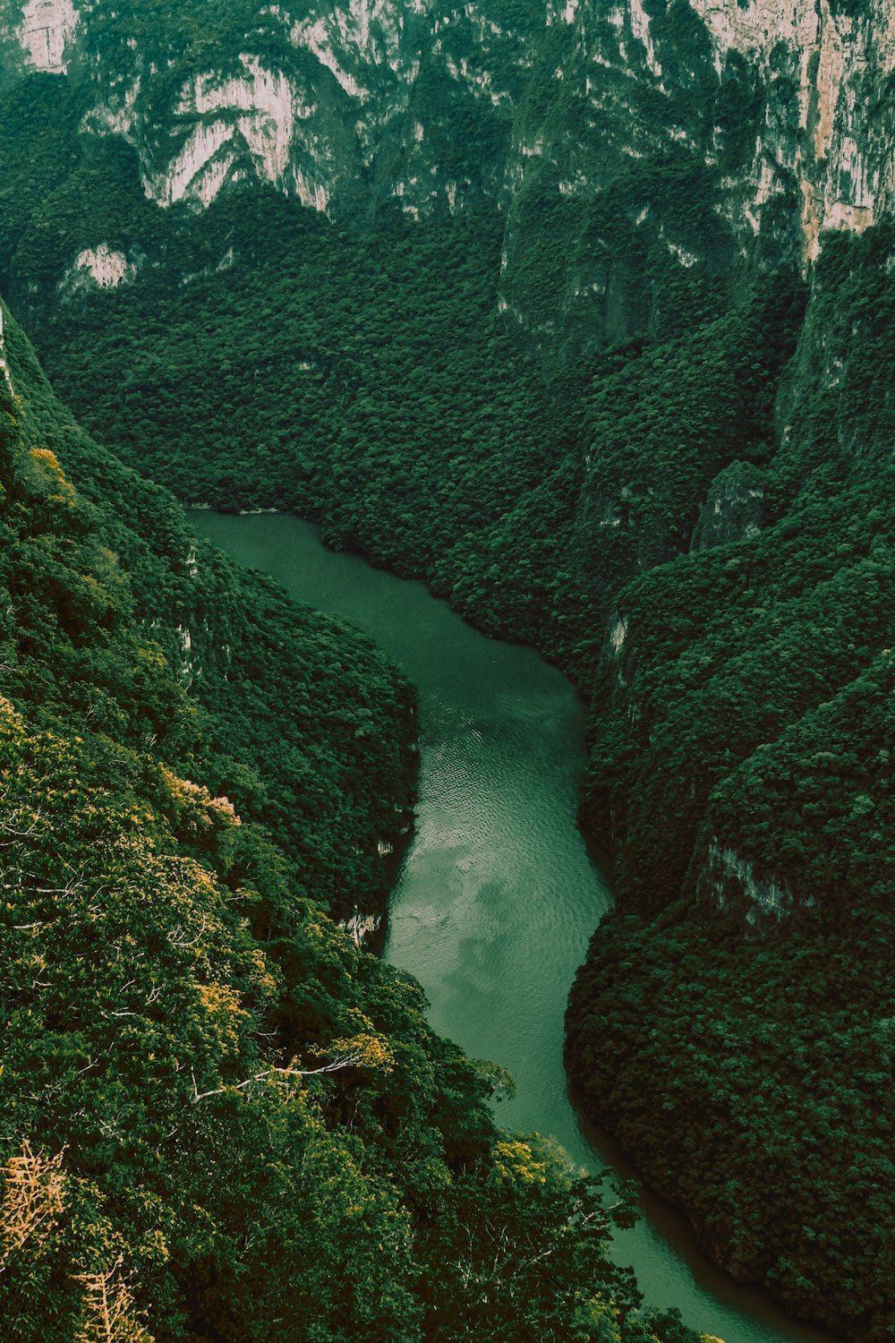 Chiapas Wallpapers - Top Free Chiapas Backgrounds - WallpaperAccess