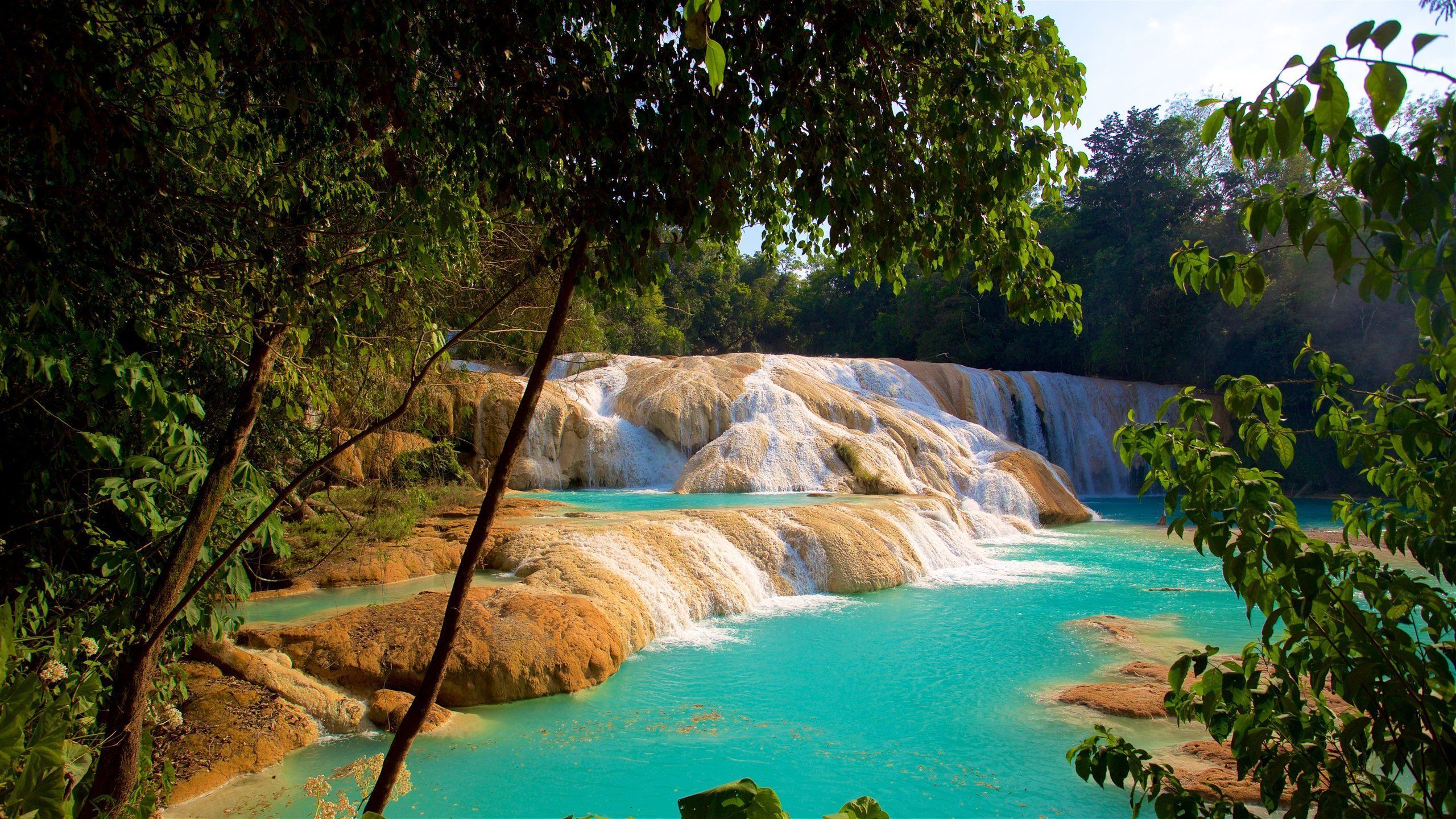 Chiapas Wallpapers - Top Free Chiapas Backgrounds - WallpaperAccess