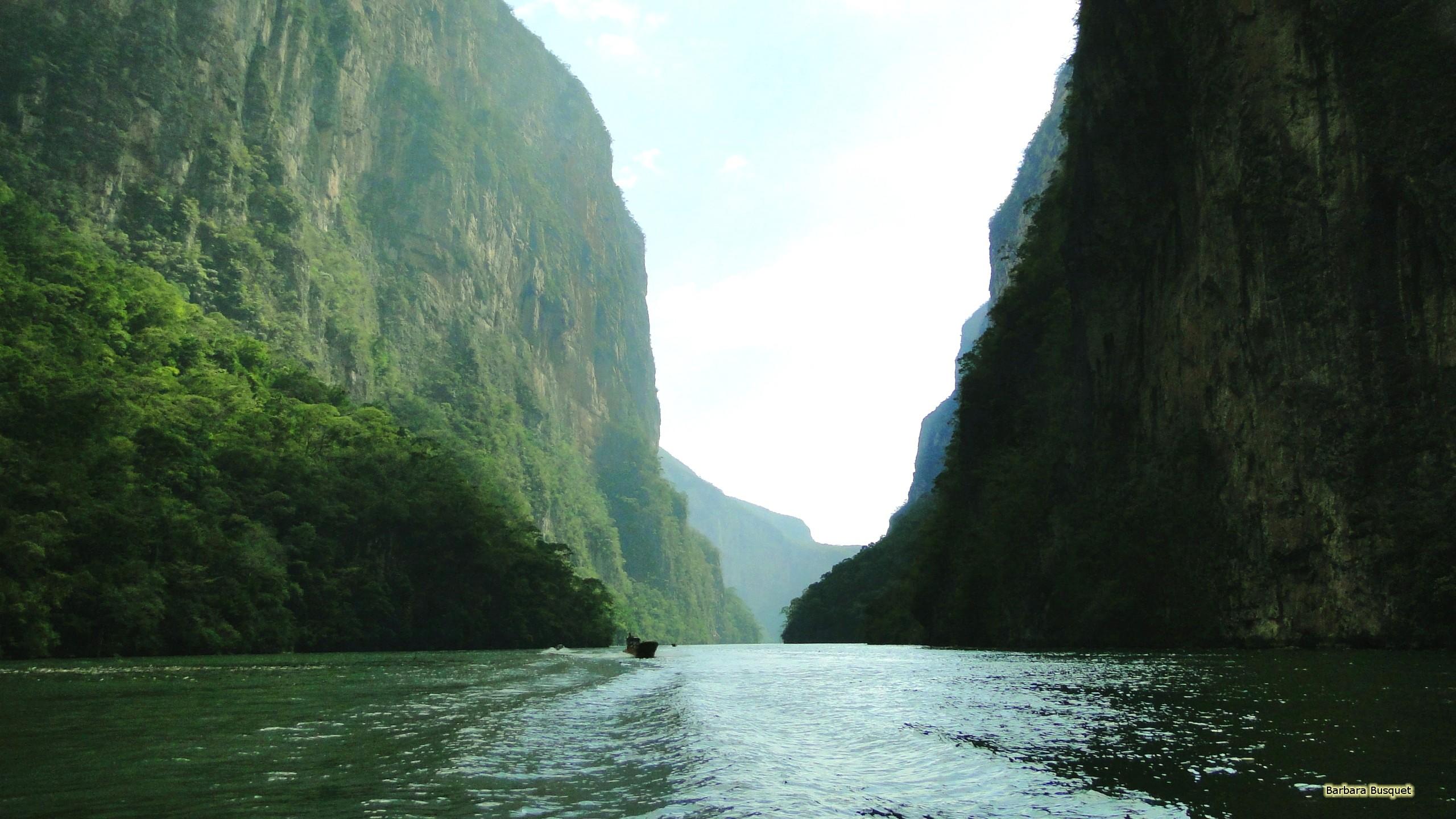 Chiapas Wallpapers - Top Free Chiapas Backgrounds - WallpaperAccess