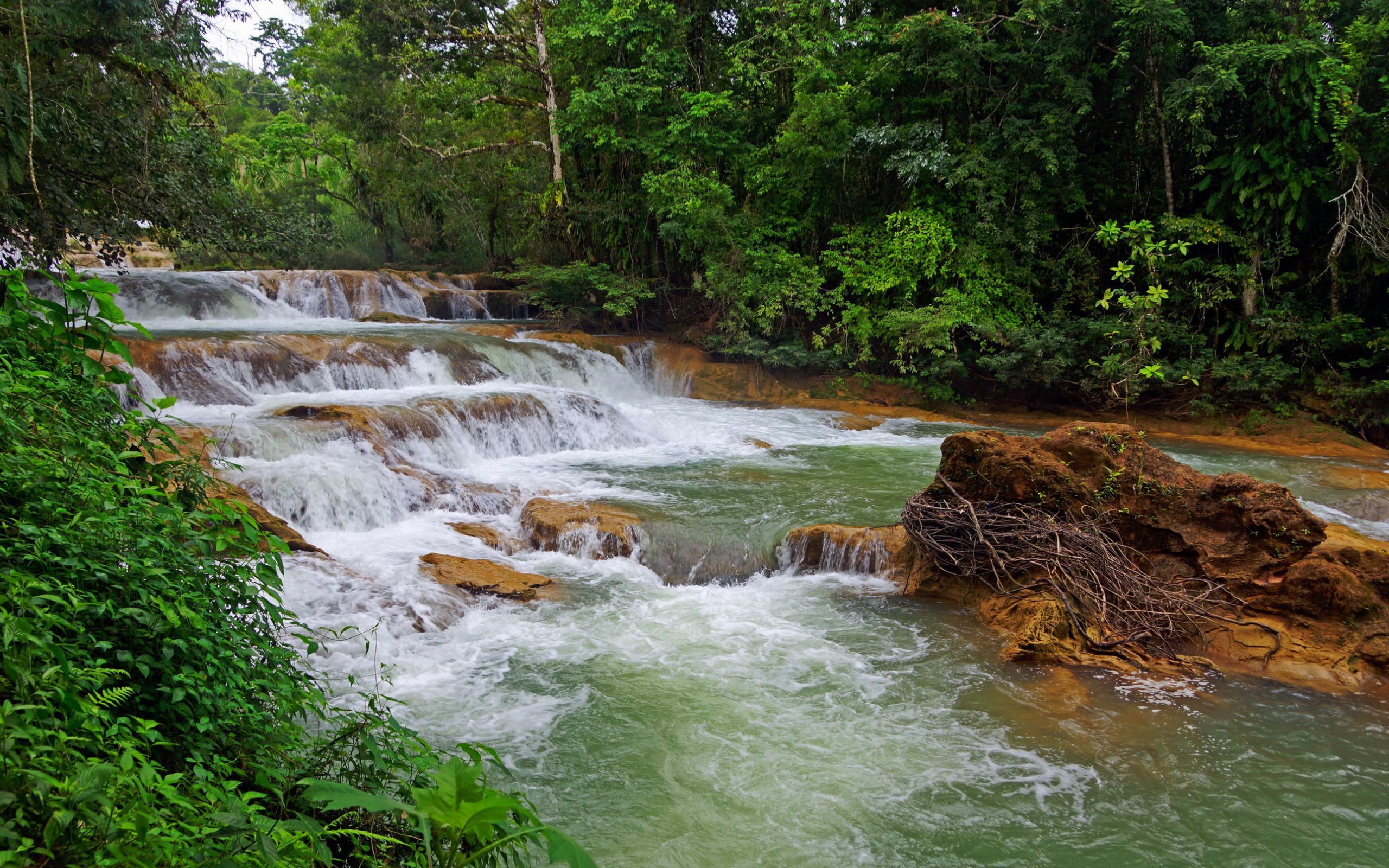Chiapas Wallpapers - Top Free Chiapas Backgrounds - WallpaperAccess