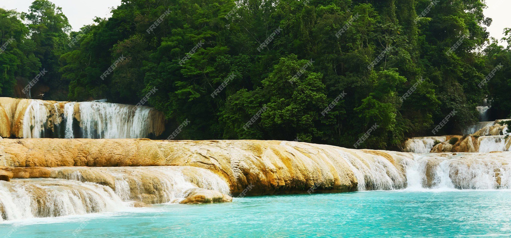Chiapas Wallpapers - Top Free Chiapas Backgrounds - WallpaperAccess