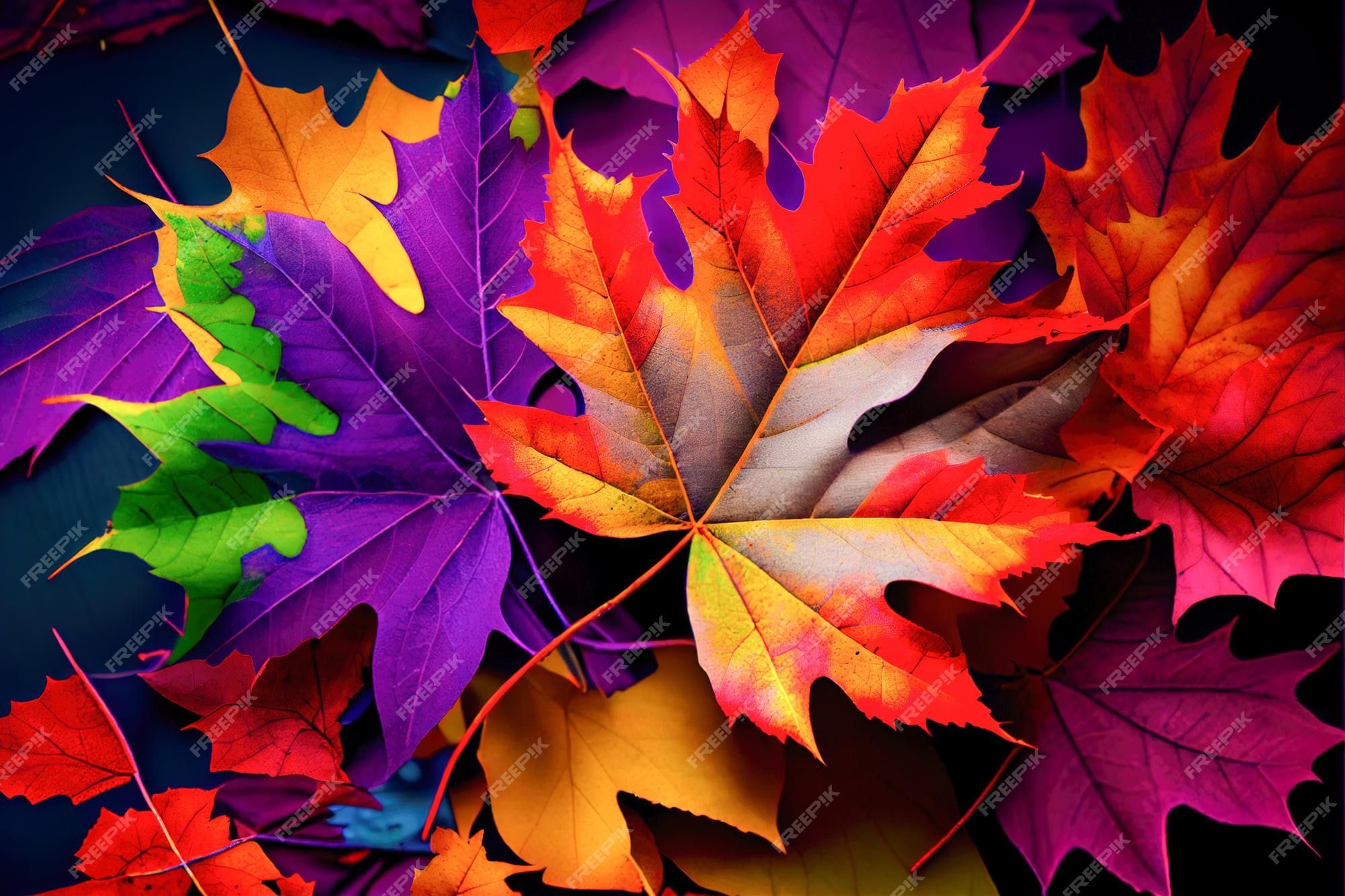 Fallen Leaves Wallpapers - Top Free Fallen Leaves Backgrounds ...