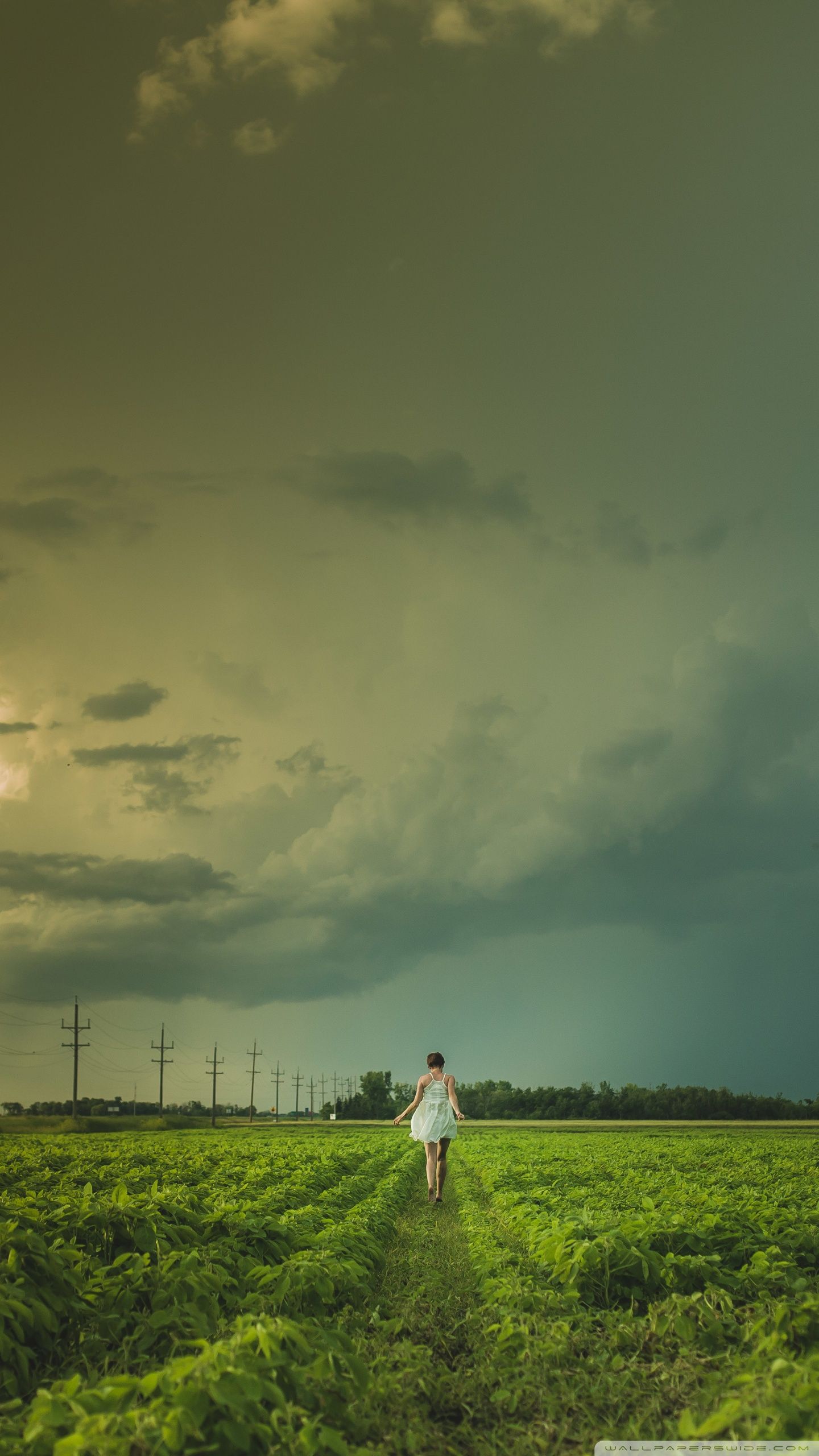 Run Away Wallpapers - Top Free Run Away Backgrounds - WallpaperAccess