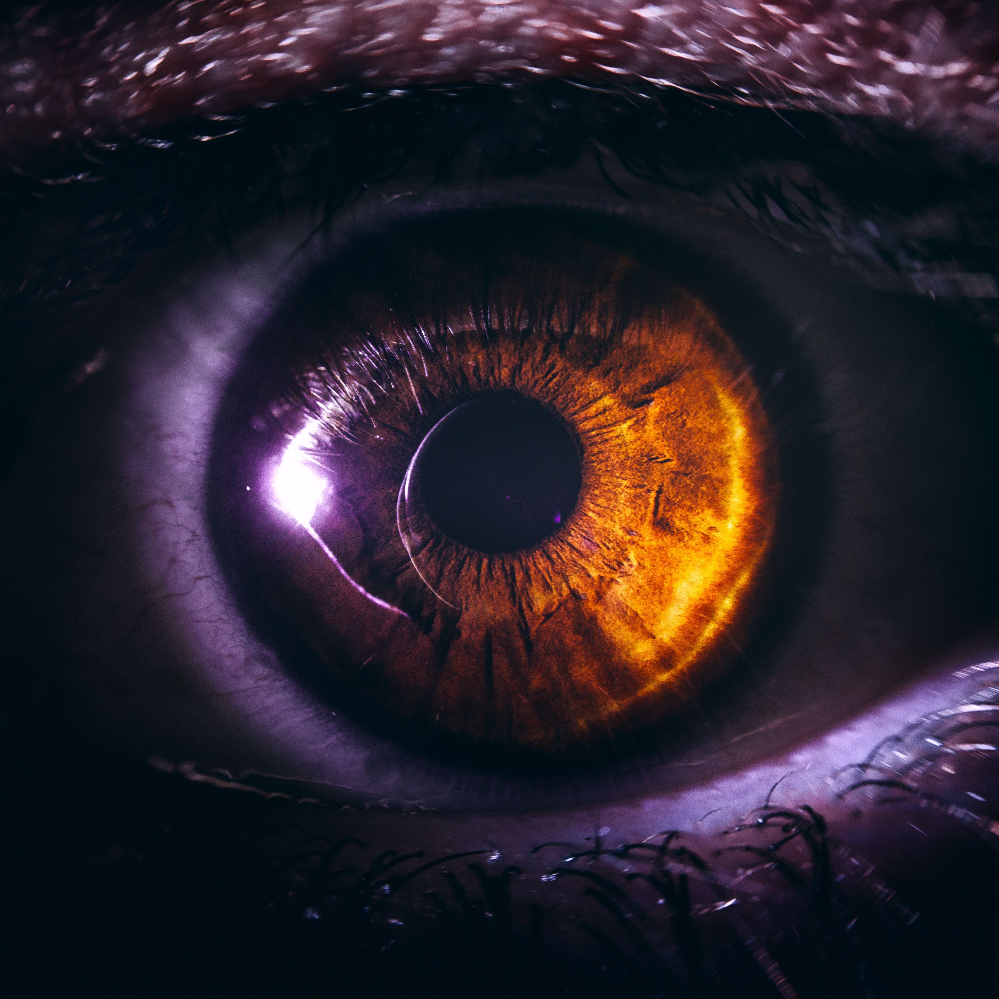 Pupil Wallpapers - Top Free Pupil Backgrounds - WallpaperAccess