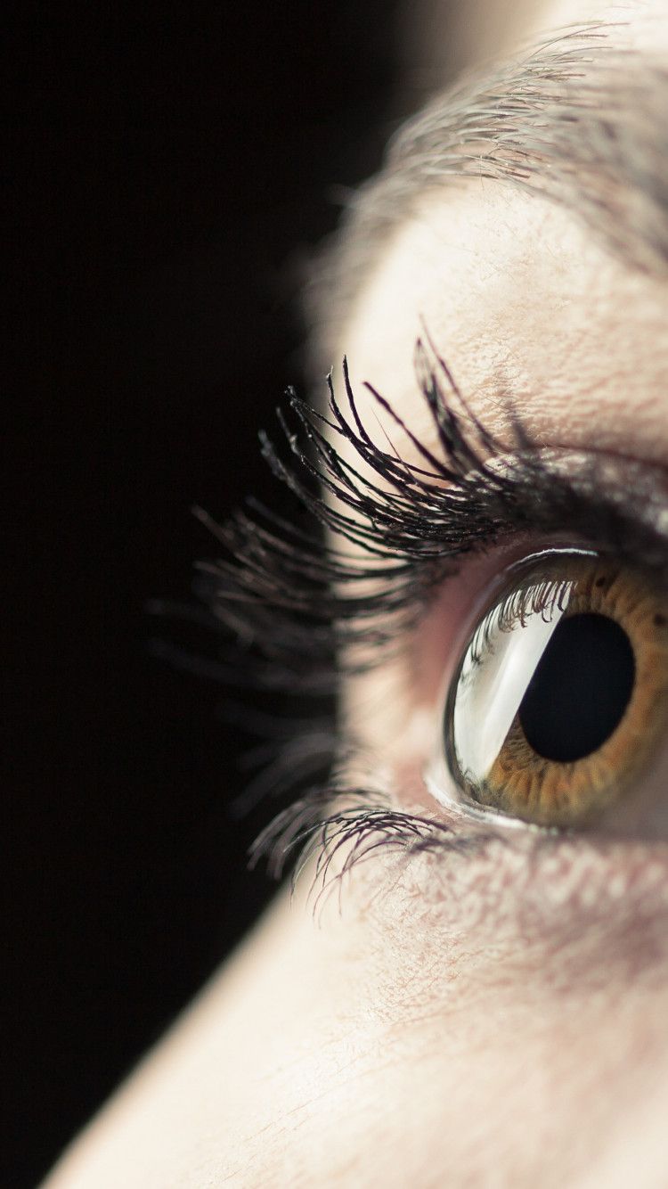 Pupil Wallpapers - Top Free Pupil Backgrounds - WallpaperAccess