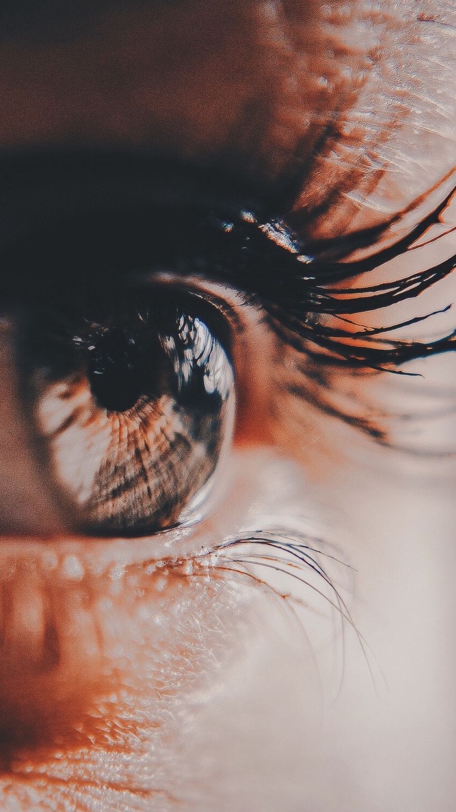 Pupil Wallpapers - Top Free Pupil Backgrounds - WallpaperAccess