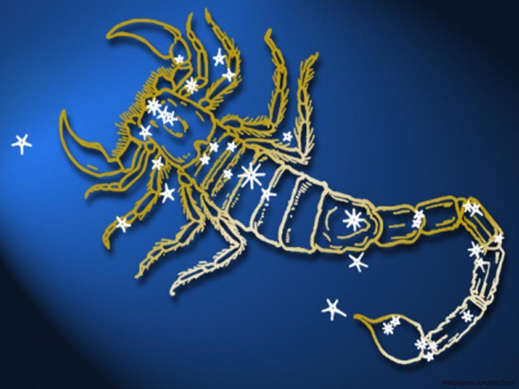 Scorpio Wallpapers - Top Free Scorpio Backgrounds - WallpaperAccess
