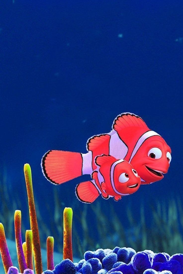 Nemo Fish Wallpapers - Top Free Nemo Fish Backgrounds - WallpaperAccess