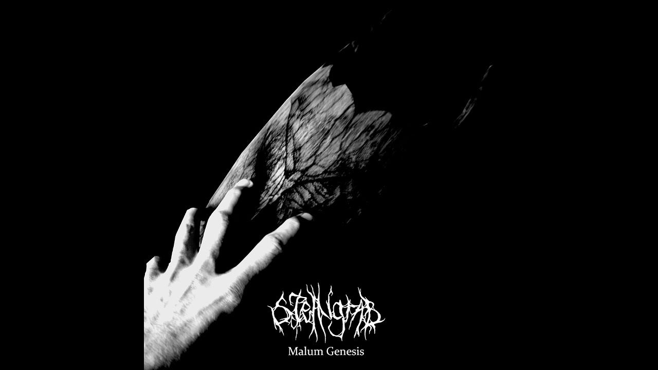 Fit For An Autopsy Wallpapers - Top Free Fit For An Autopsy Backgrounds ...