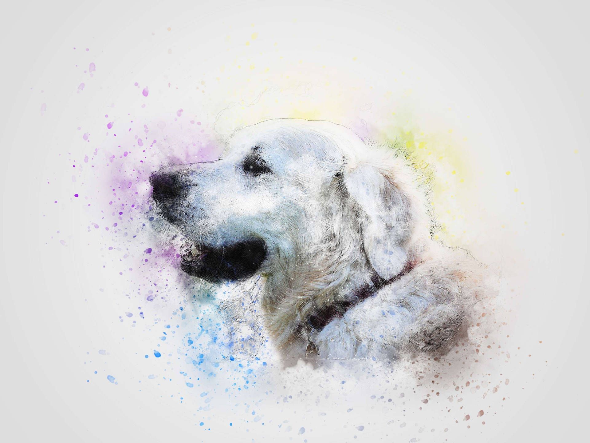 Dog Painting Wallpapers - Top Free Dog Painting Backgrounds ...
