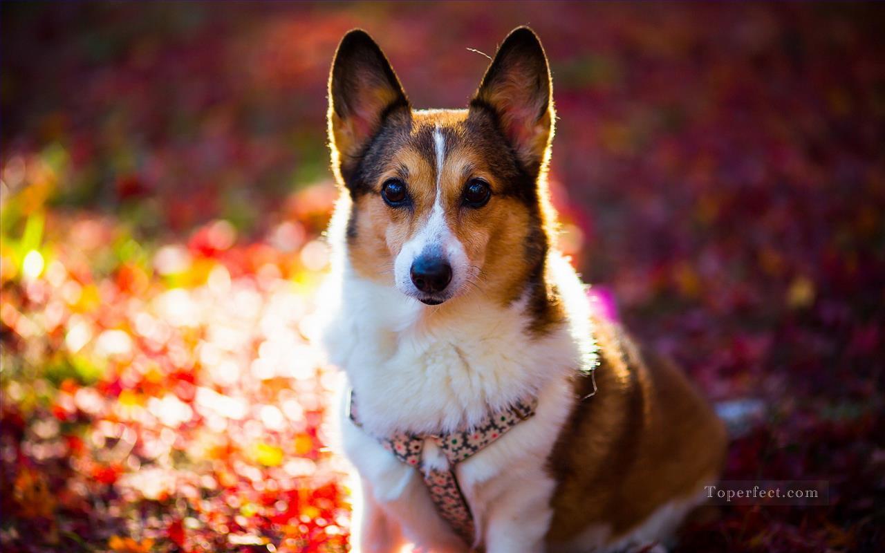 Dog Painting Wallpapers - Top Free Dog Painting Backgrounds ...