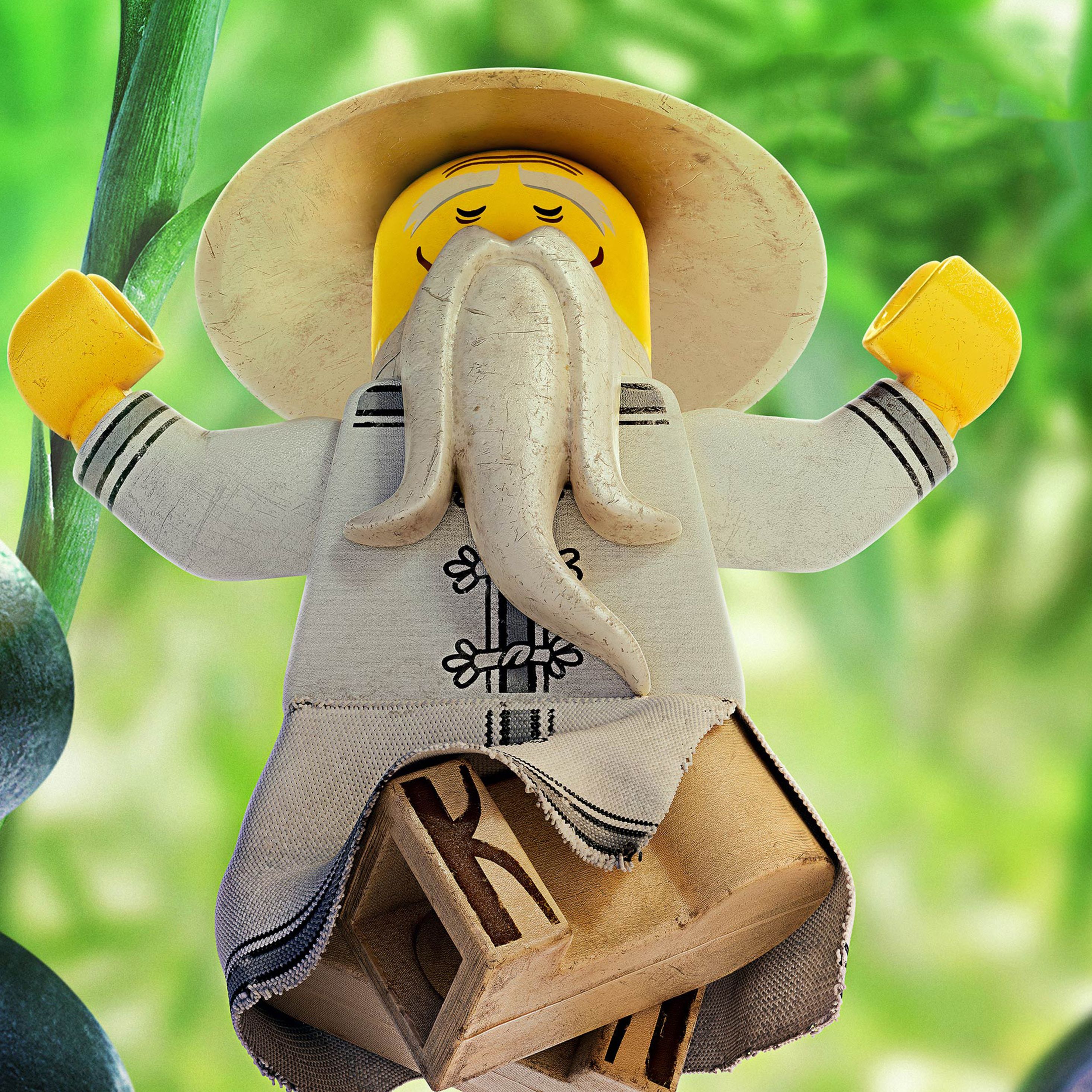 Sensei Wu Wallpapers - Top Free Sensei Wu Backgrounds - WallpaperAccess