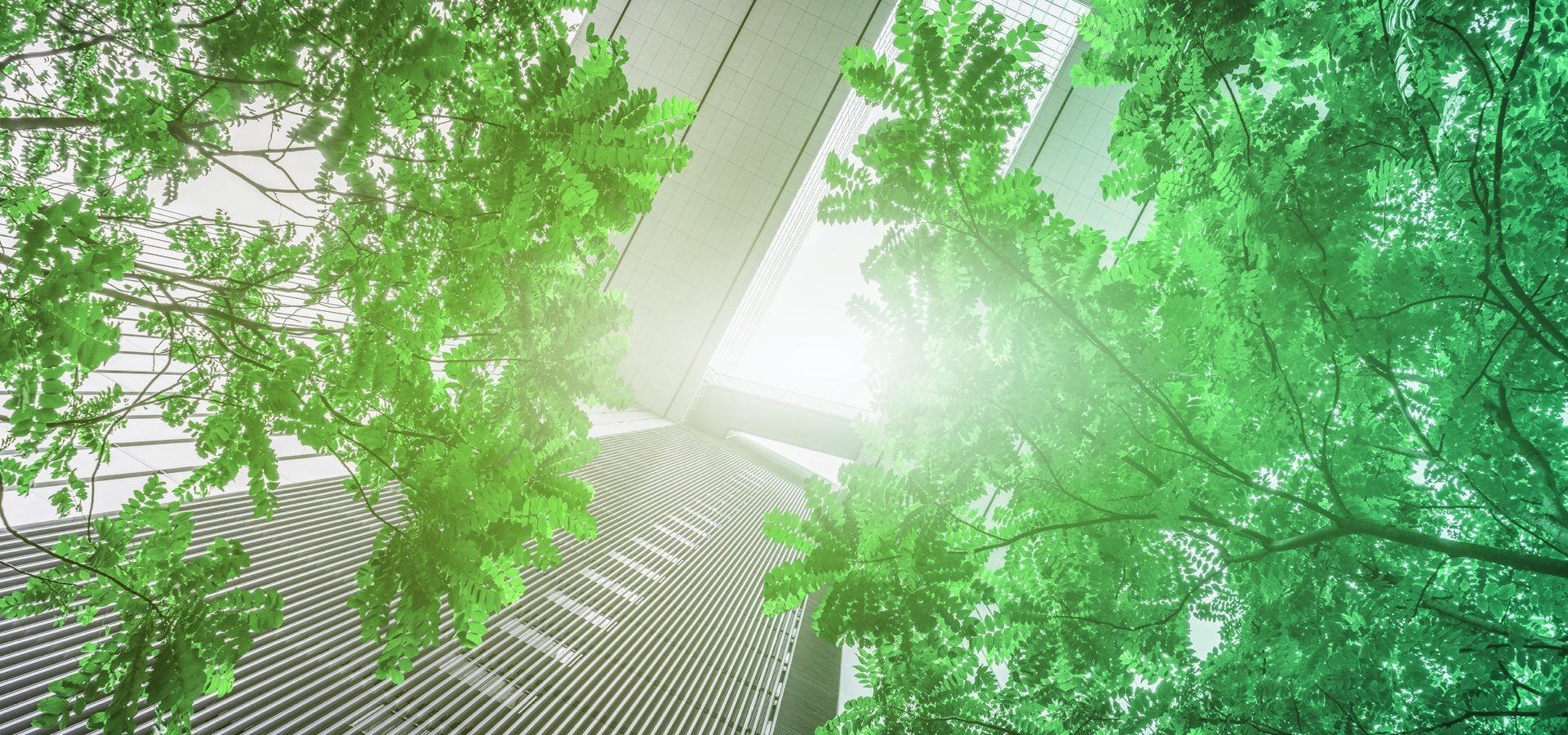 ESG Wallpapers - Top Free ESG Backgrounds - WallpaperAccess