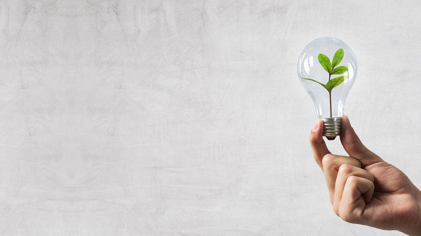 ESG Wallpapers - Top Free ESG Backgrounds - WallpaperAccess