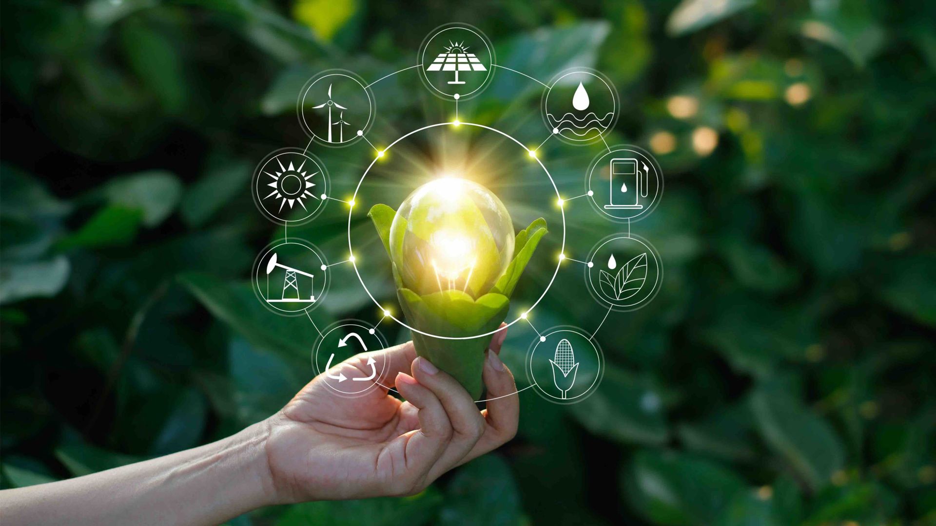 ESG Wallpapers - Top Free ESG Backgrounds - WallpaperAccess