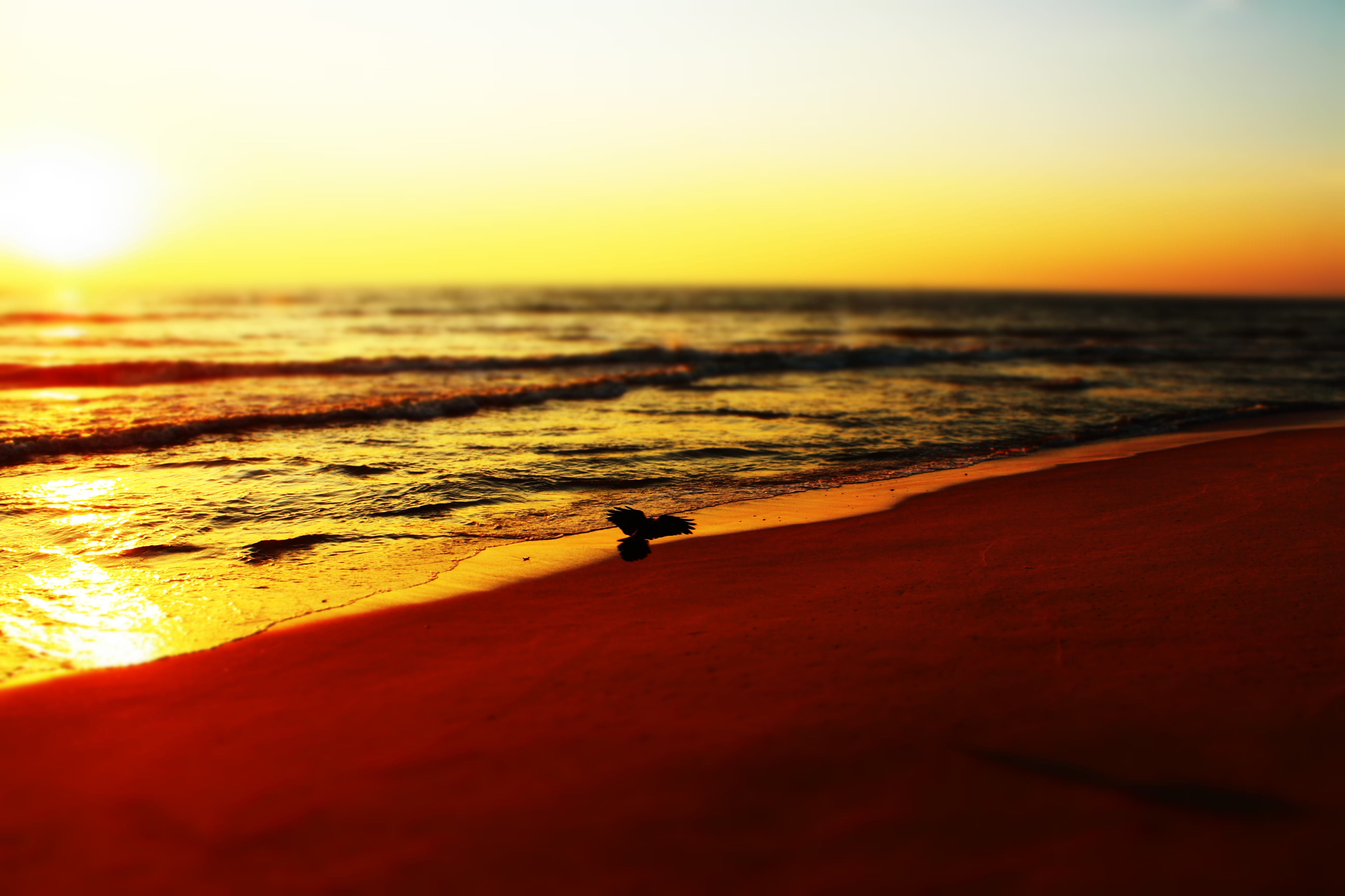 Mangalore Wallpapers - Top Free Mangalore Backgrounds - WallpaperAccess