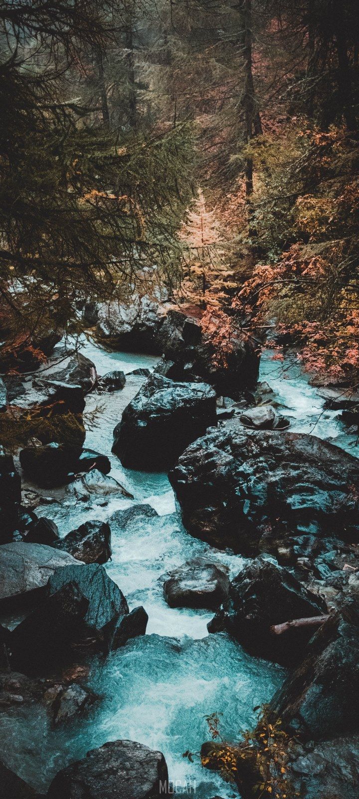 Redmi 9C Wallpapers - Top Free Redmi 9C Backgrounds - WallpaperAccess