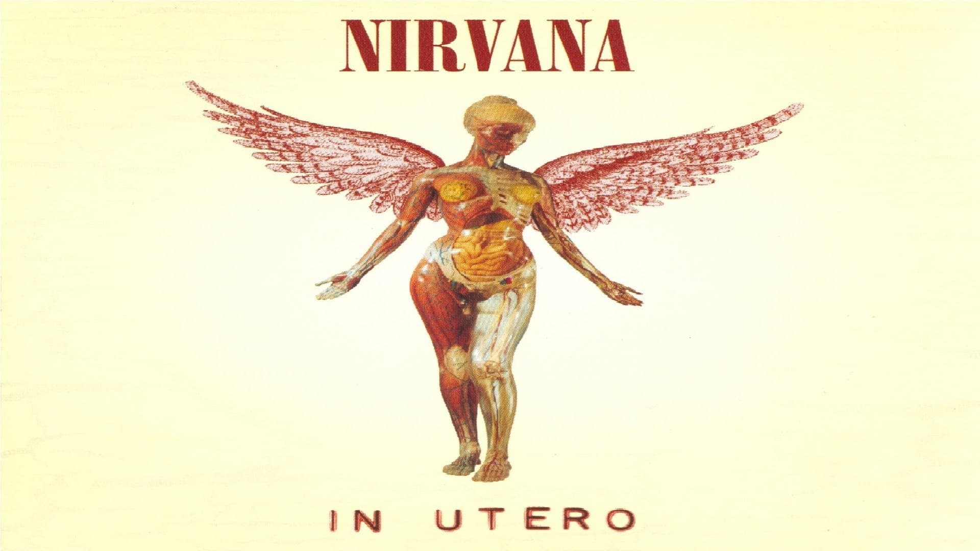 Nirvana Album Wallpapers - Top Free Nirvana Album Backgrounds - WallpaperAccess