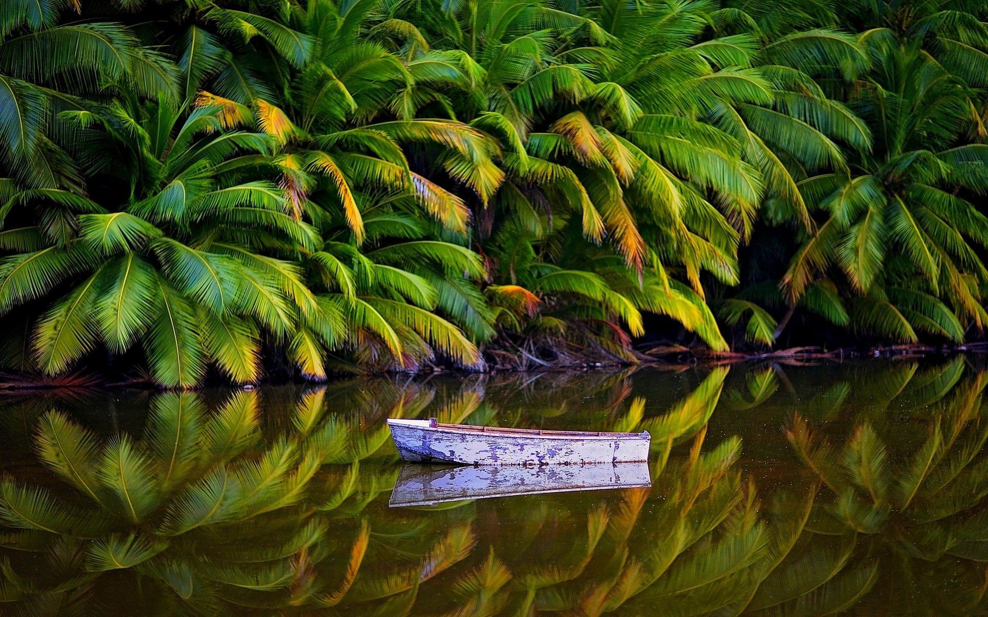 Australia Nature Wallpapers - Top Free Australia Nature Backgrounds ...
