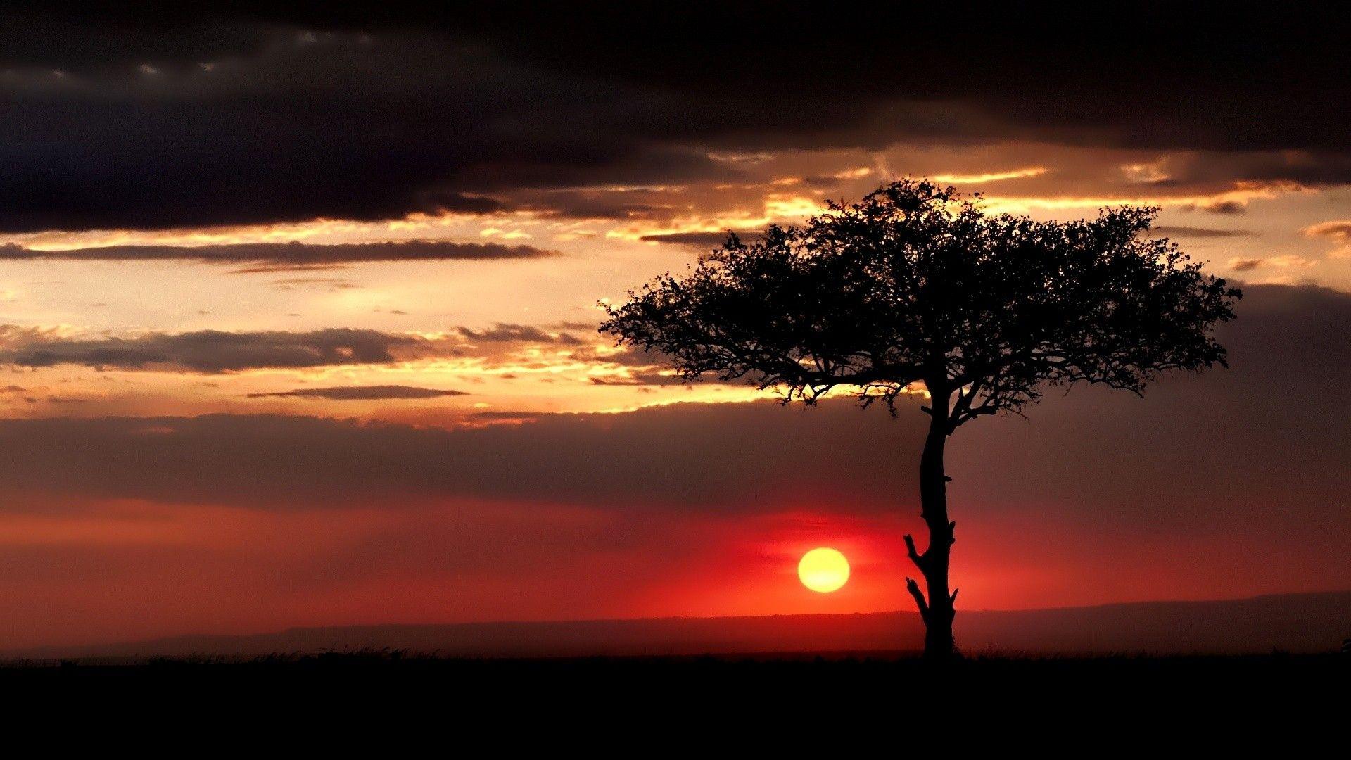 Africa HD Wallpapers - Top Free Africa HD Backgrounds - WallpaperAccess