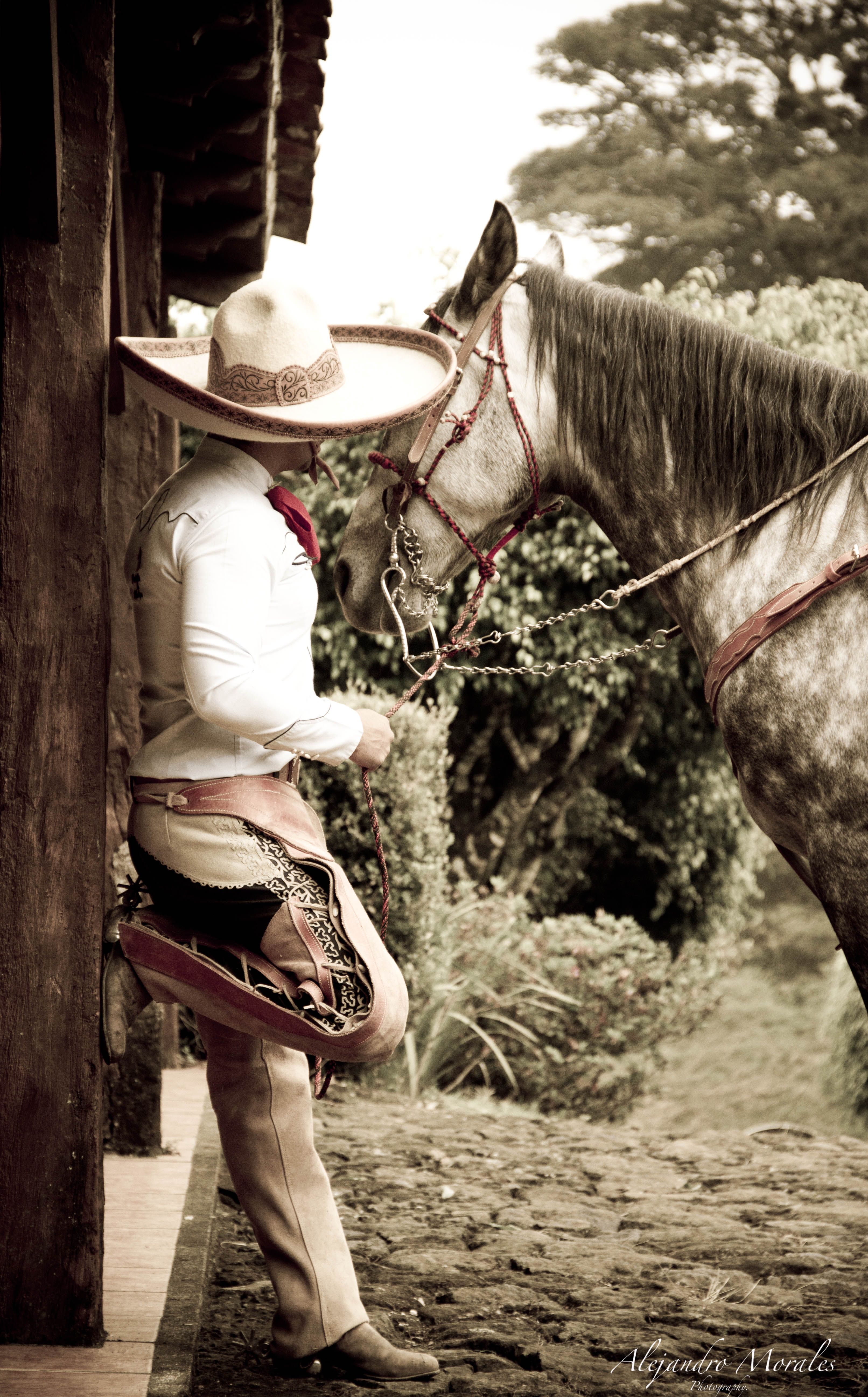 Charro Wallpapers - Top Free Charro Backgrounds - WallpaperAccess