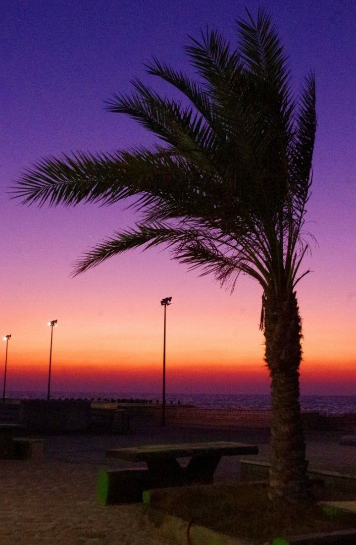 Bushehr Wallpapers - Top Free Bushehr Backgrounds - WallpaperAccess