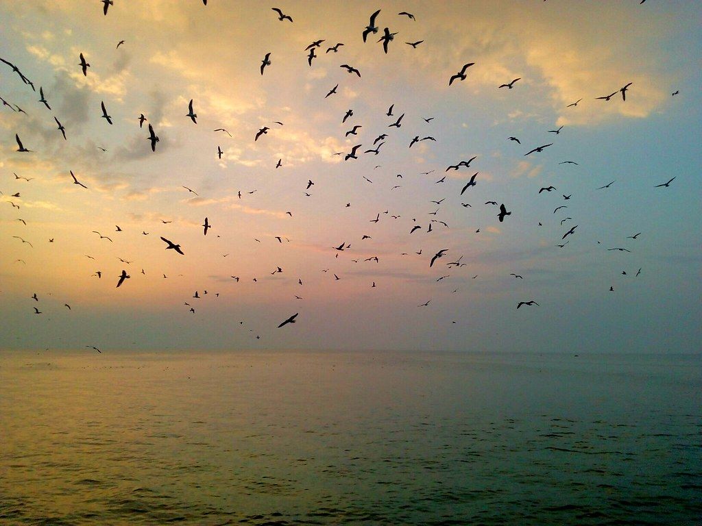 Bushehr Wallpapers - Top Free Bushehr Backgrounds - WallpaperAccess