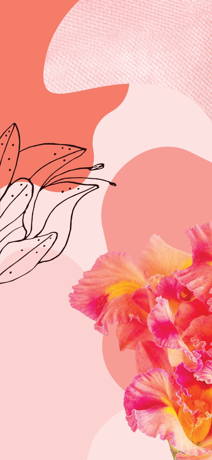 Google Pixel 8 Wallpapers - Top Free Google Pixel 8 Backgrounds ...