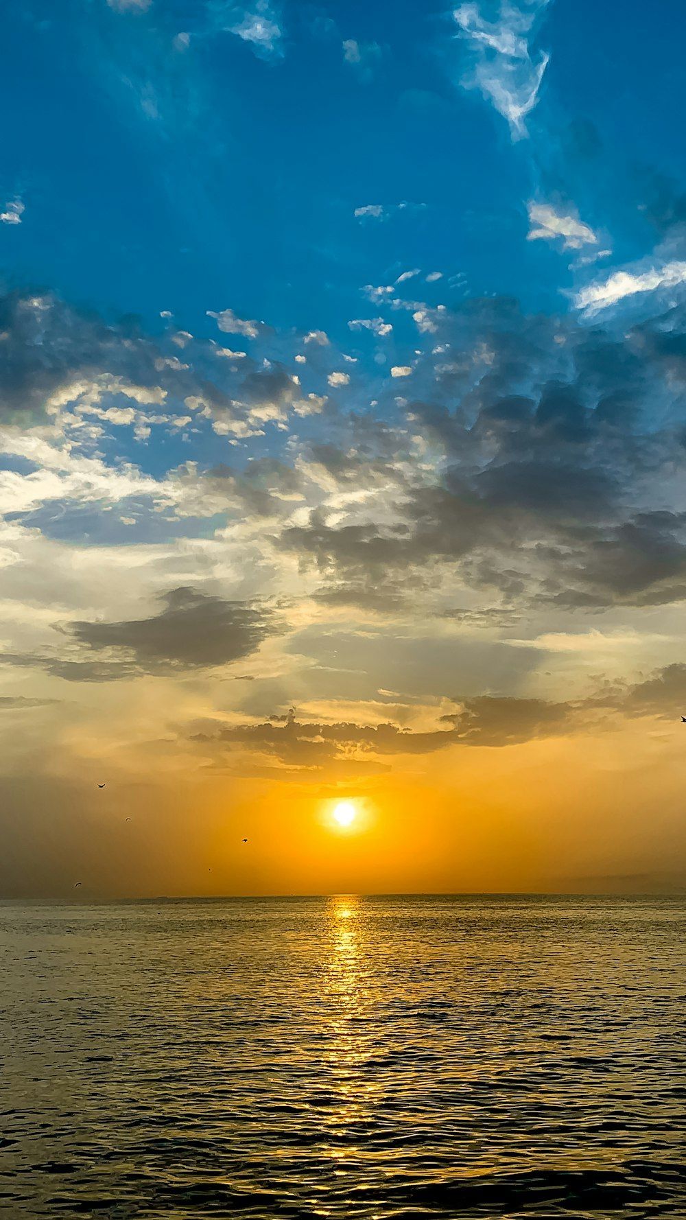 Bushehr Wallpapers - Top Free Bushehr Backgrounds - WallpaperAccess