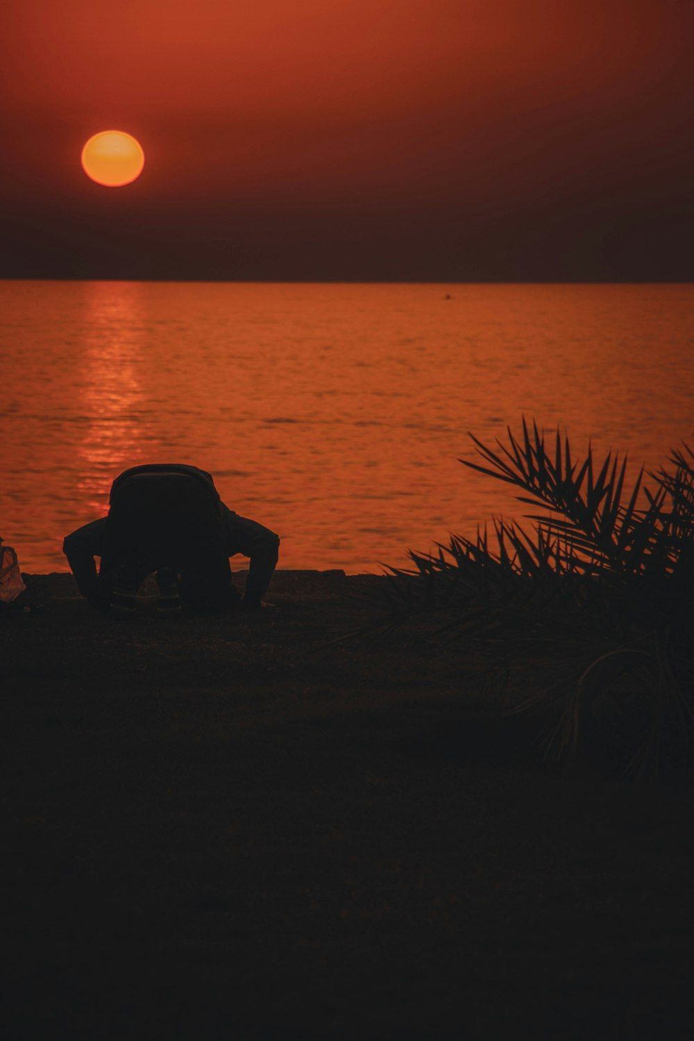 Bushehr Wallpapers - Top Free Bushehr Backgrounds - WallpaperAccess