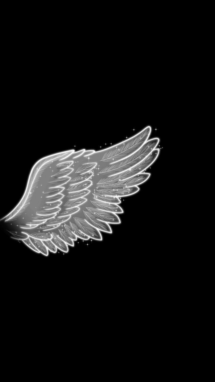 Black and White Wings Wallpapers - Top Free Black and White Wings ...